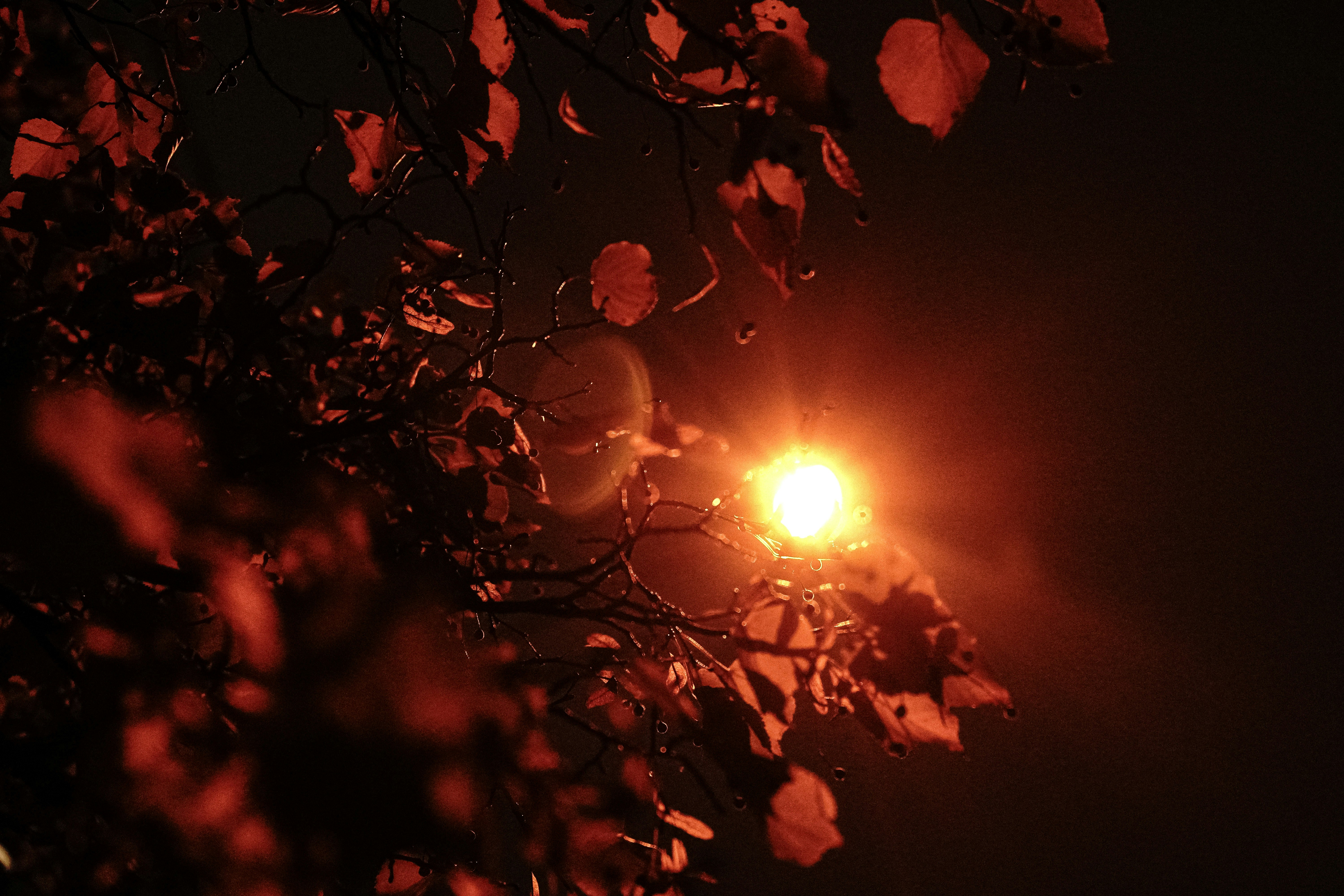 Red Veil Around a Night Streetlamp