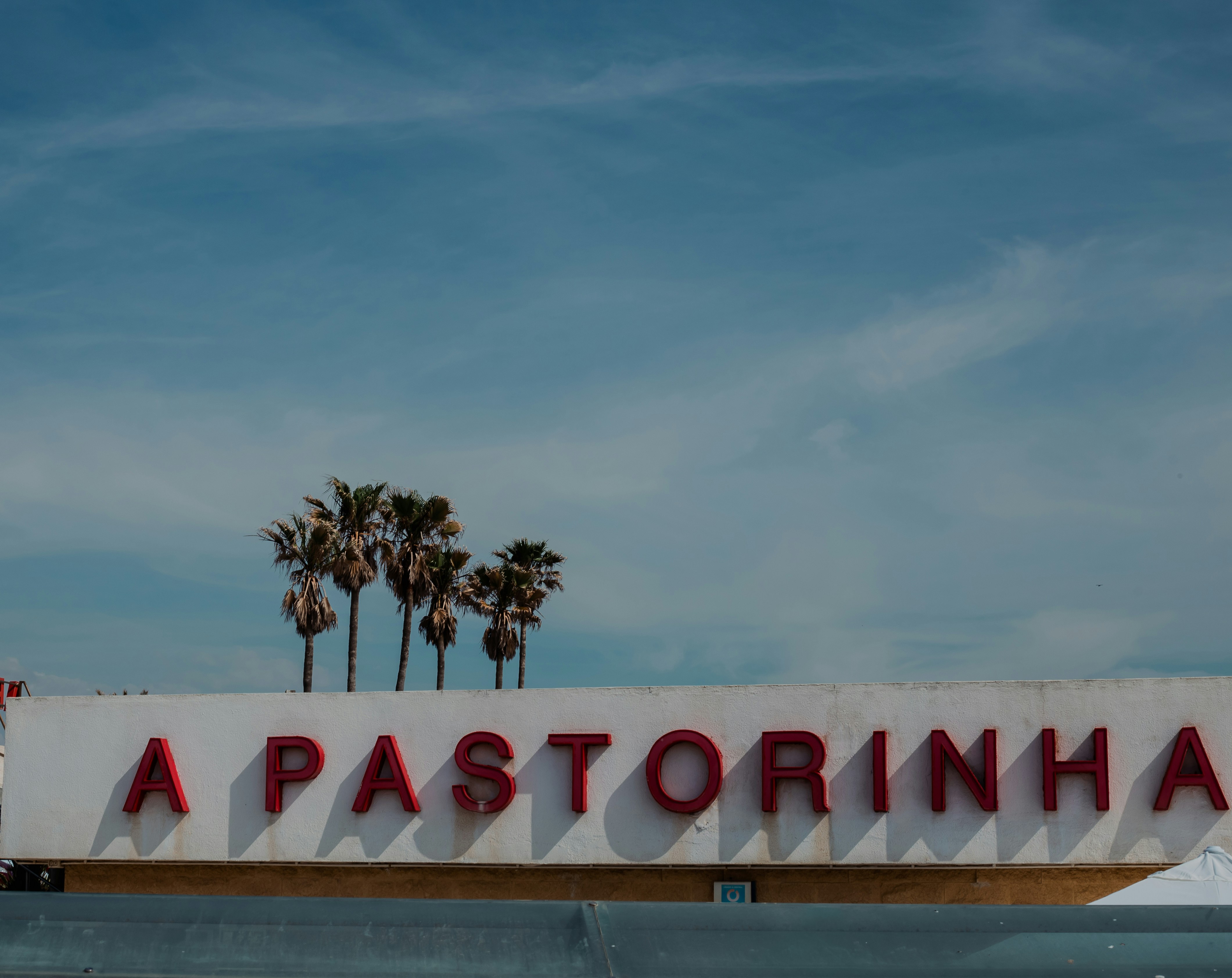 Signage On a Sunny Strip: A Pastel Horizon Above the Palm Trees