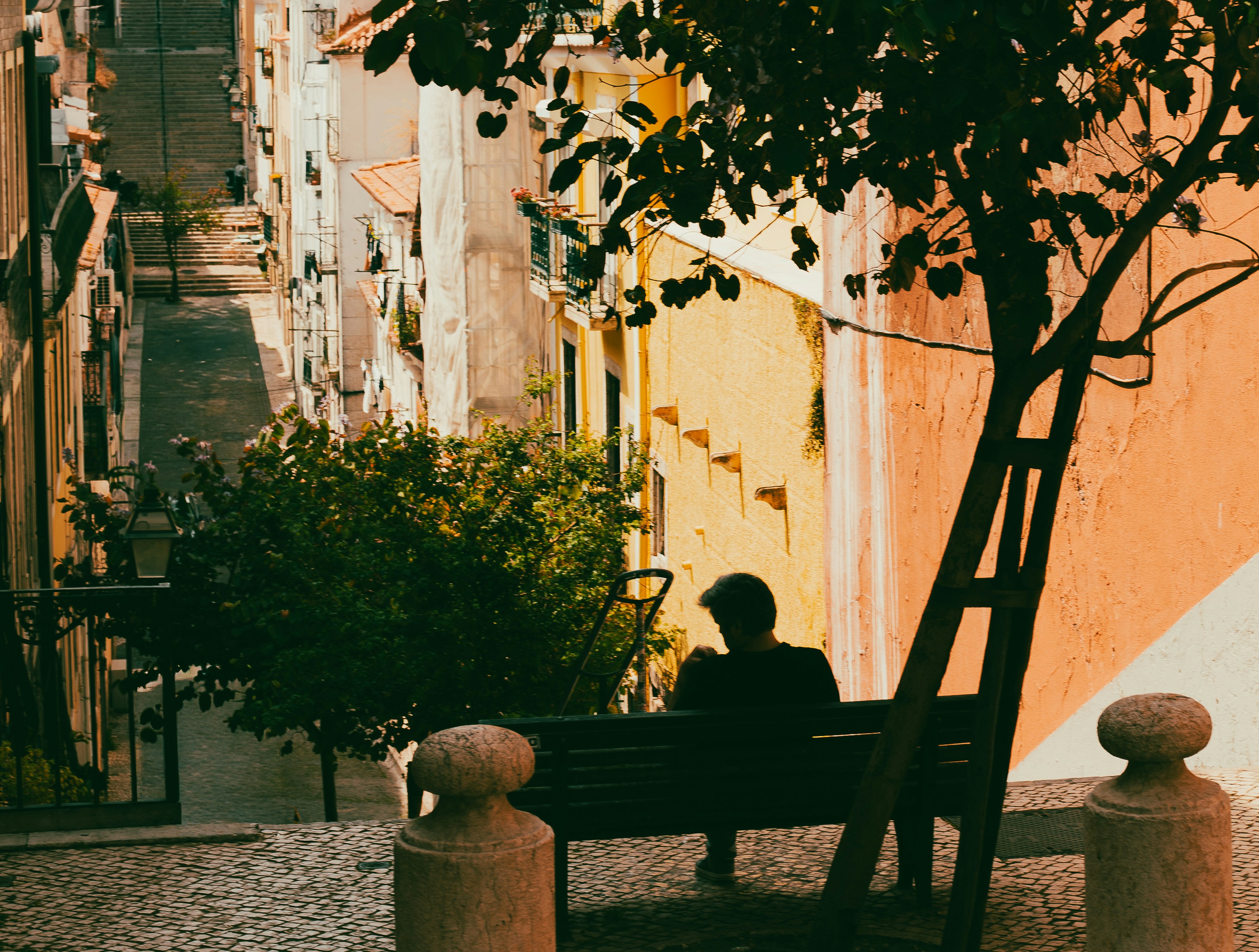 Shadowed Gardener on a Sunlit European Calle