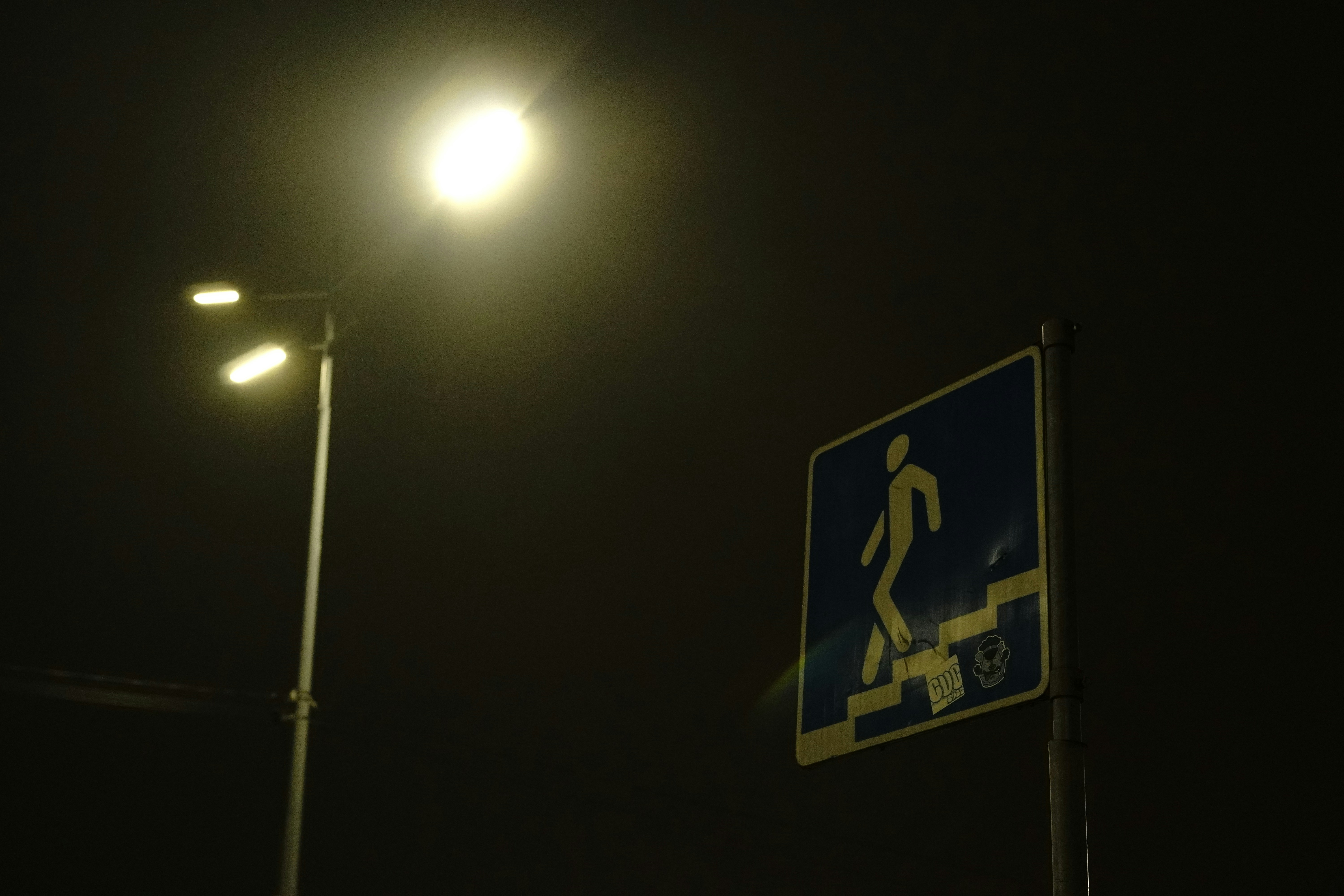 Night Crosswalk: Neon Sign and Street Lights