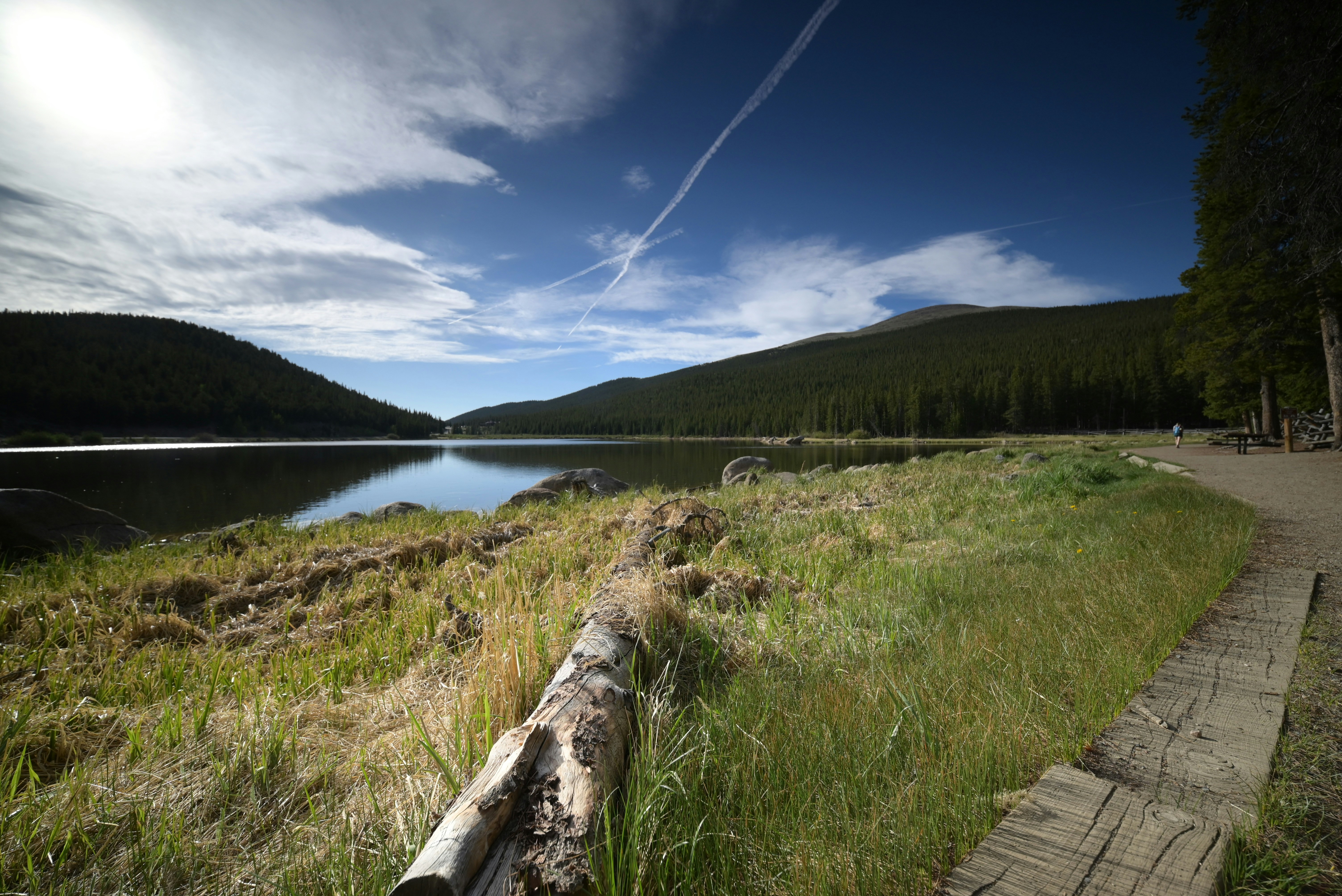 Creekside Trail Framing: A Quiet Lake Verge Under Wide Blue