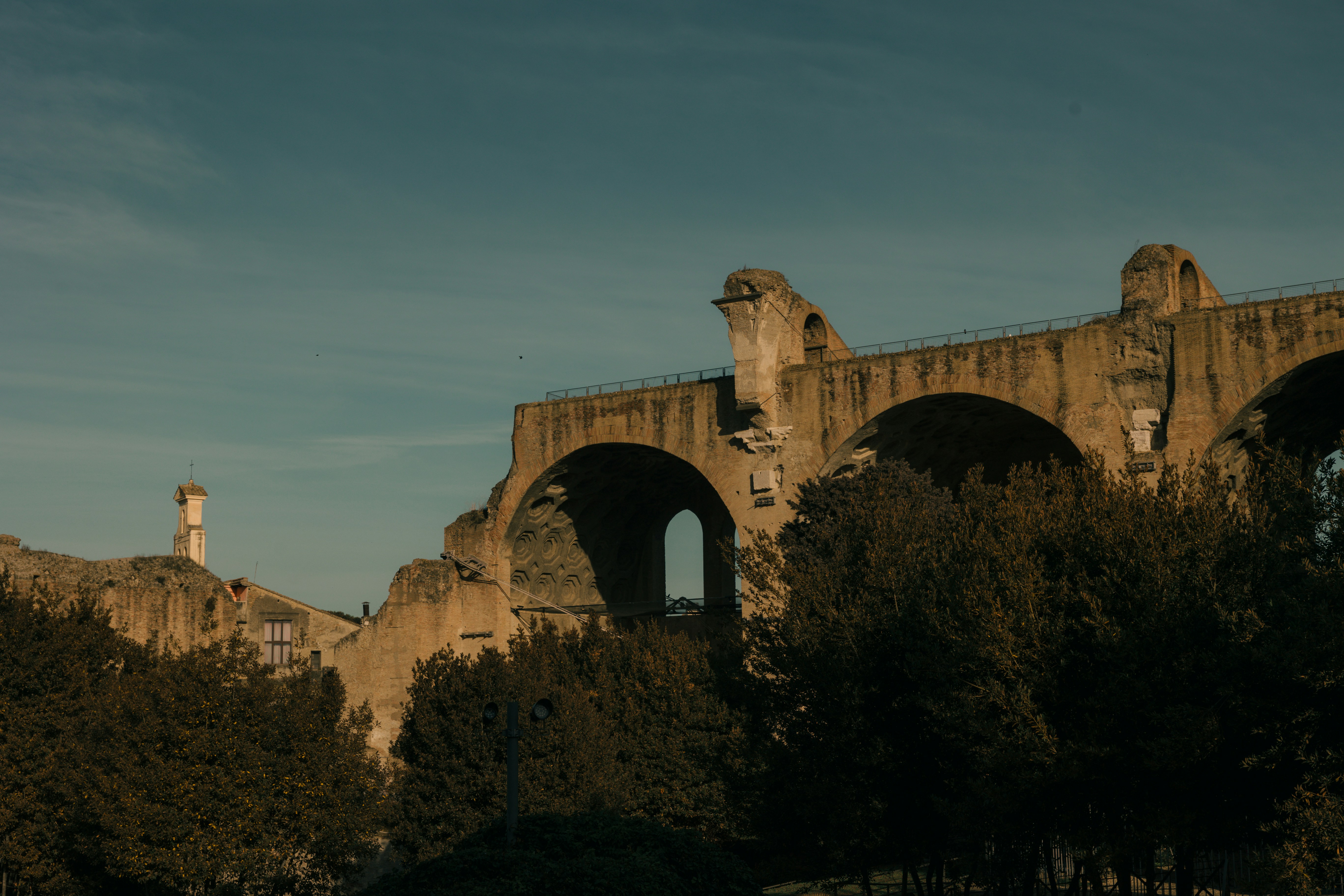 Sunlit Ruins: An Ancient Arc spanning the treetops