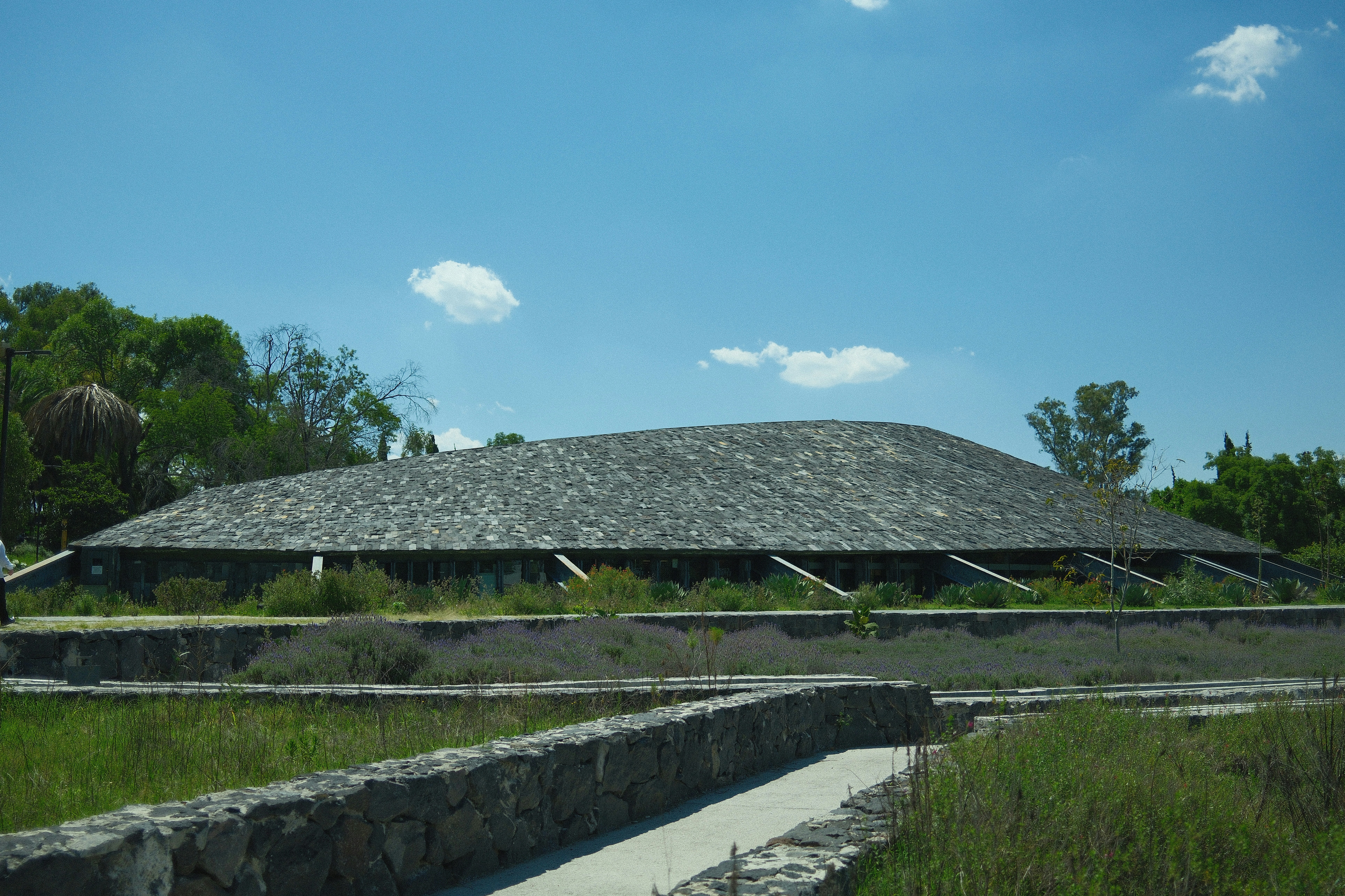 Horizon Gate: A Stone–Walled Path to a Longroofed Terrace
