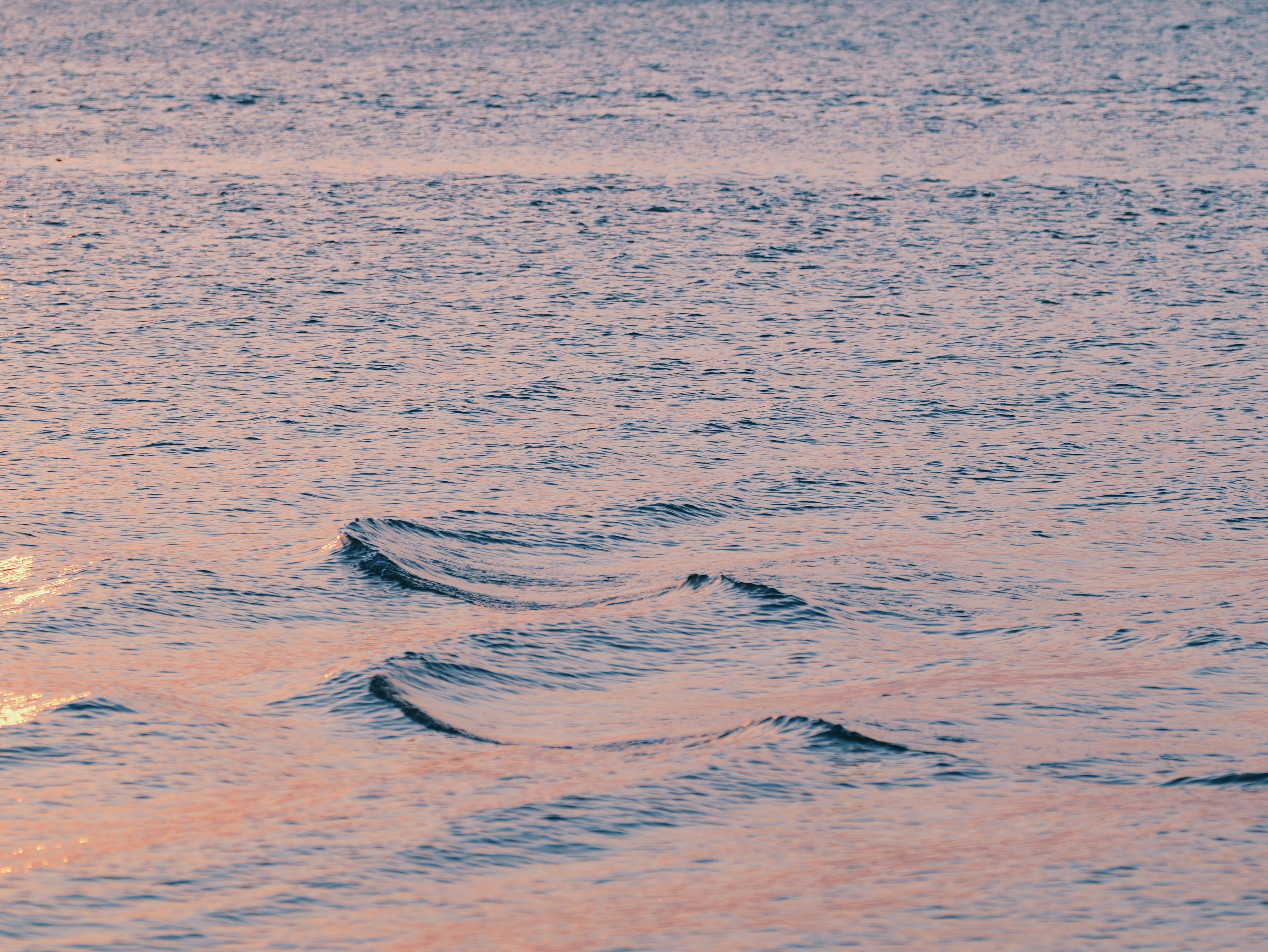 Sun-kissed Ripples: A Quiet Wave Study at Dusk