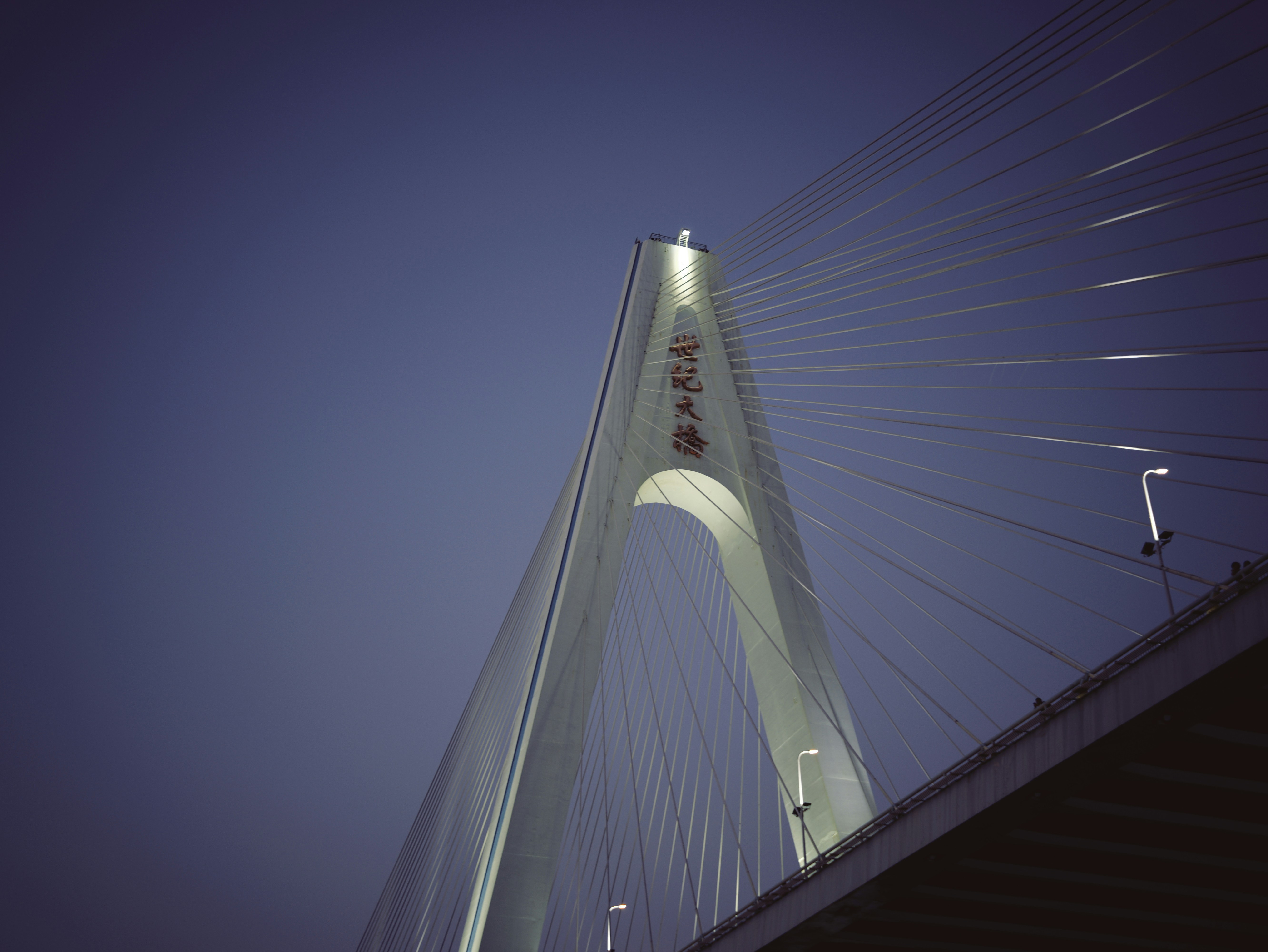 Suspended Arc: The Cable-Stayed Tower Reaching Toward the Sky