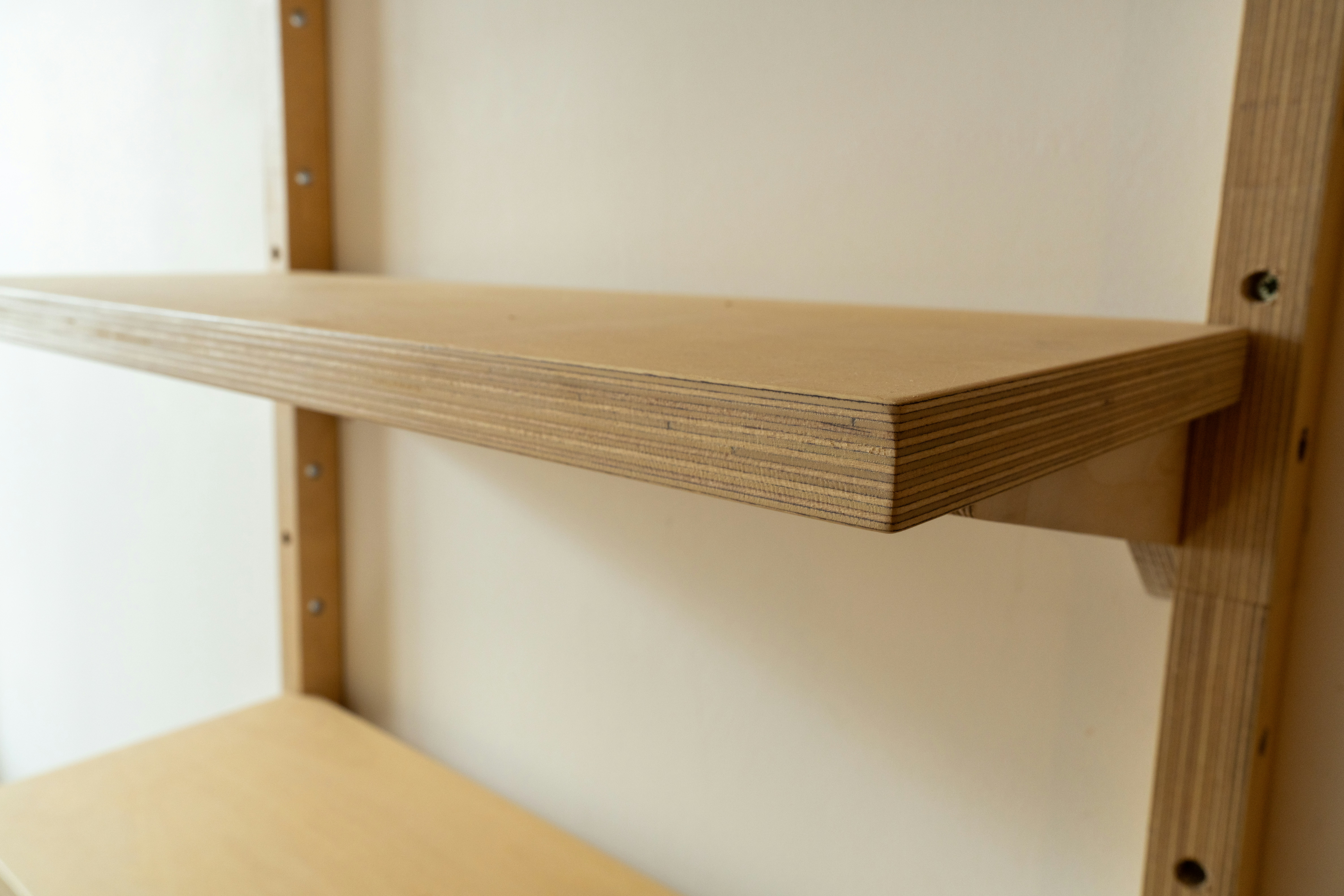 Minimalist Wooden Shelf Assembly in Soft Interior Light