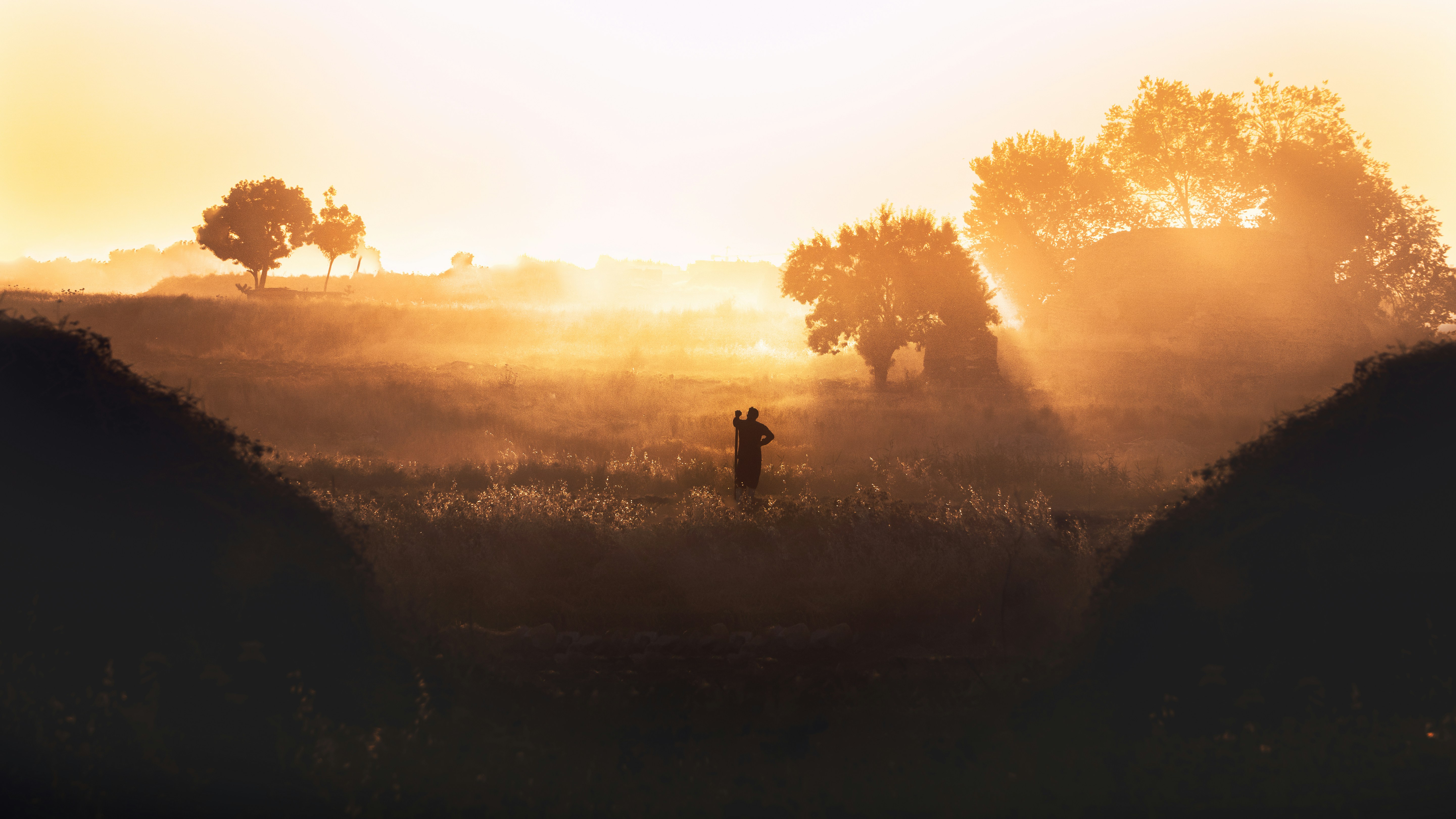 Silhouette at Dawn: A Lone Figure in Warm Fog