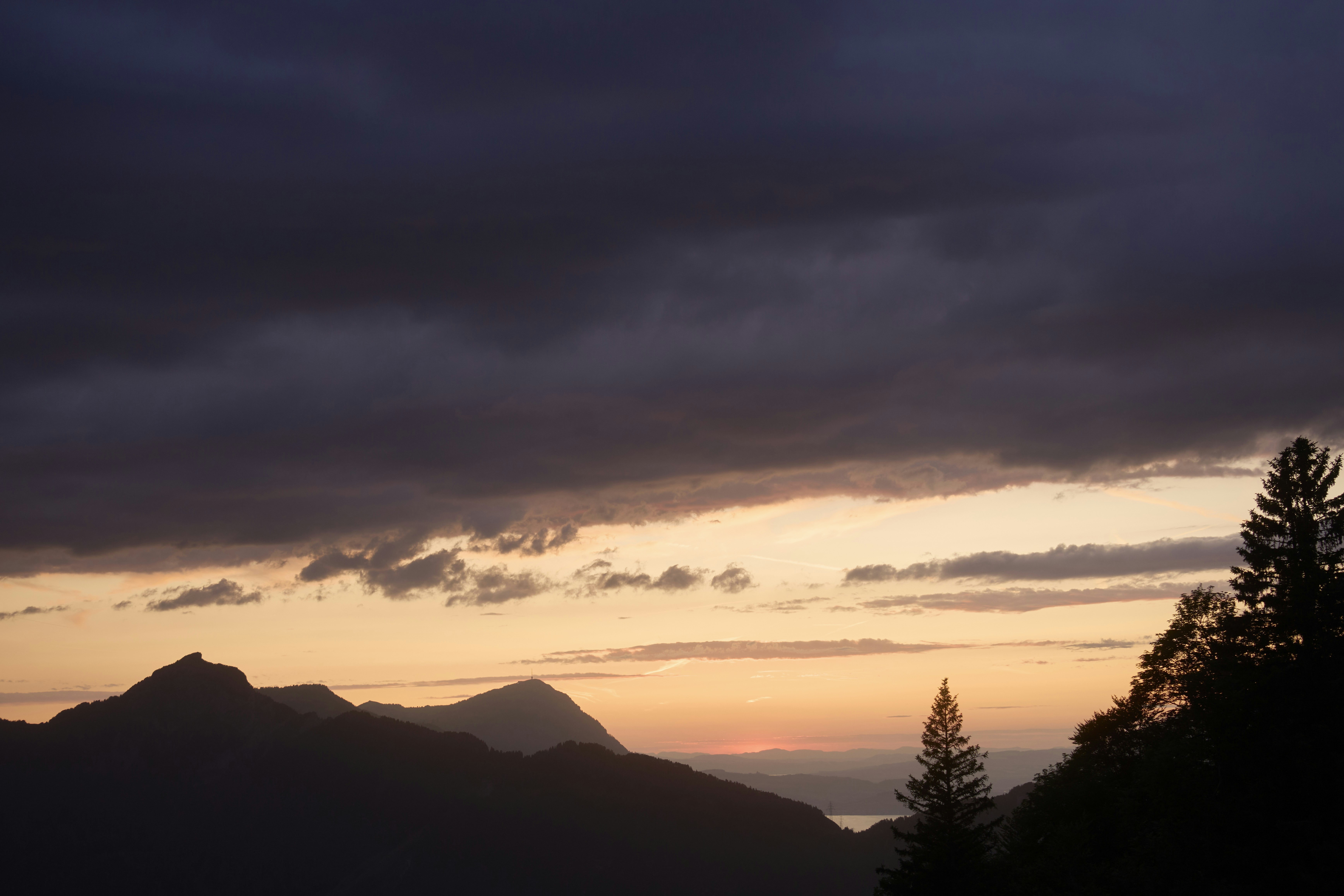 Dusk Over the Ridge: Silhouette of Pines Against a Golden Horizon