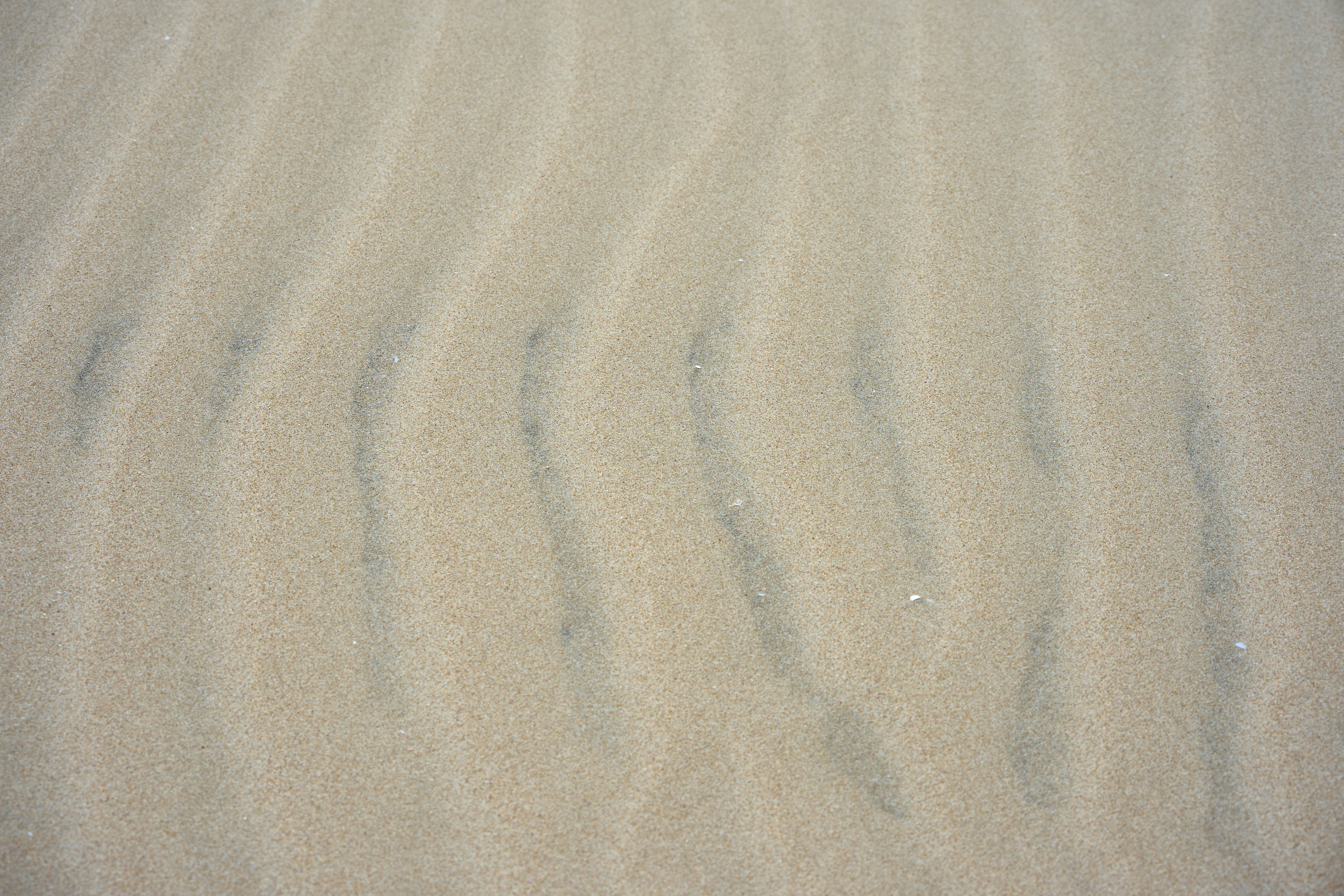 Ripples in Quiet Sand: Subtle Wind Patterns on a Desert Surface