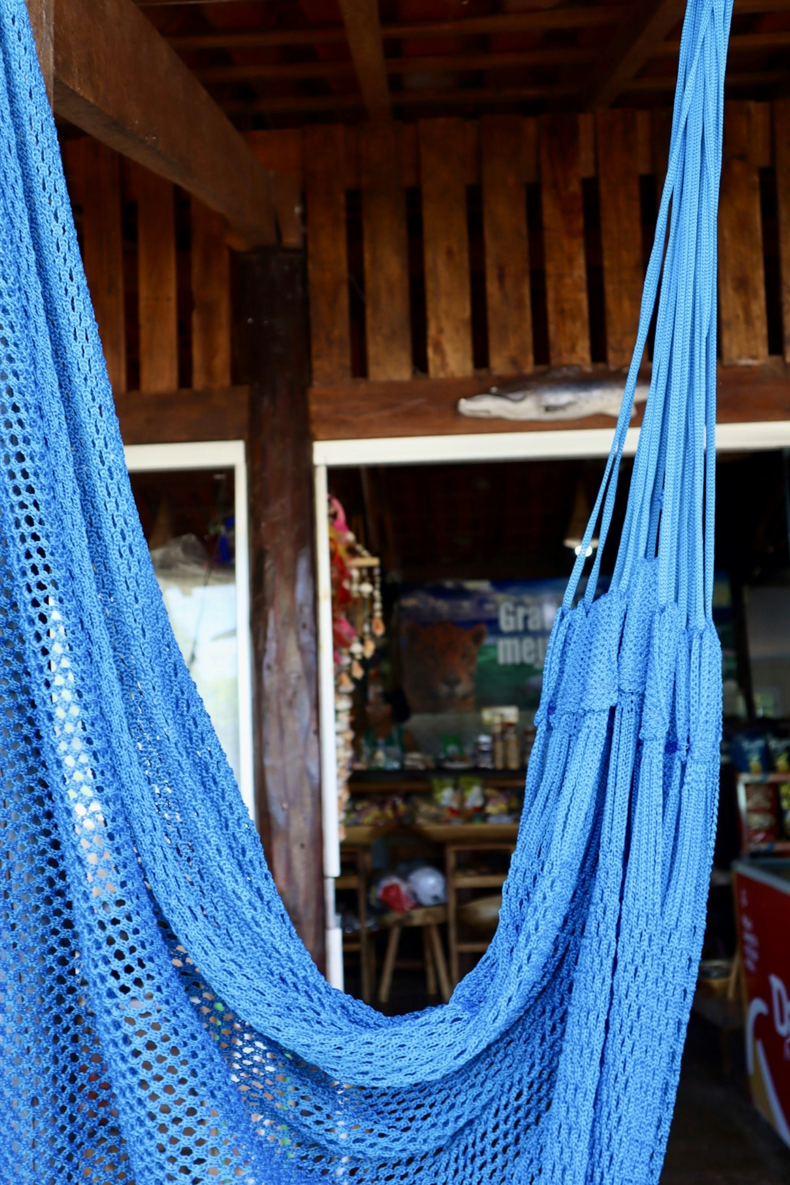 Bright blue hammock strands frame a small storefront interior with shelves and a person blurred in the background.