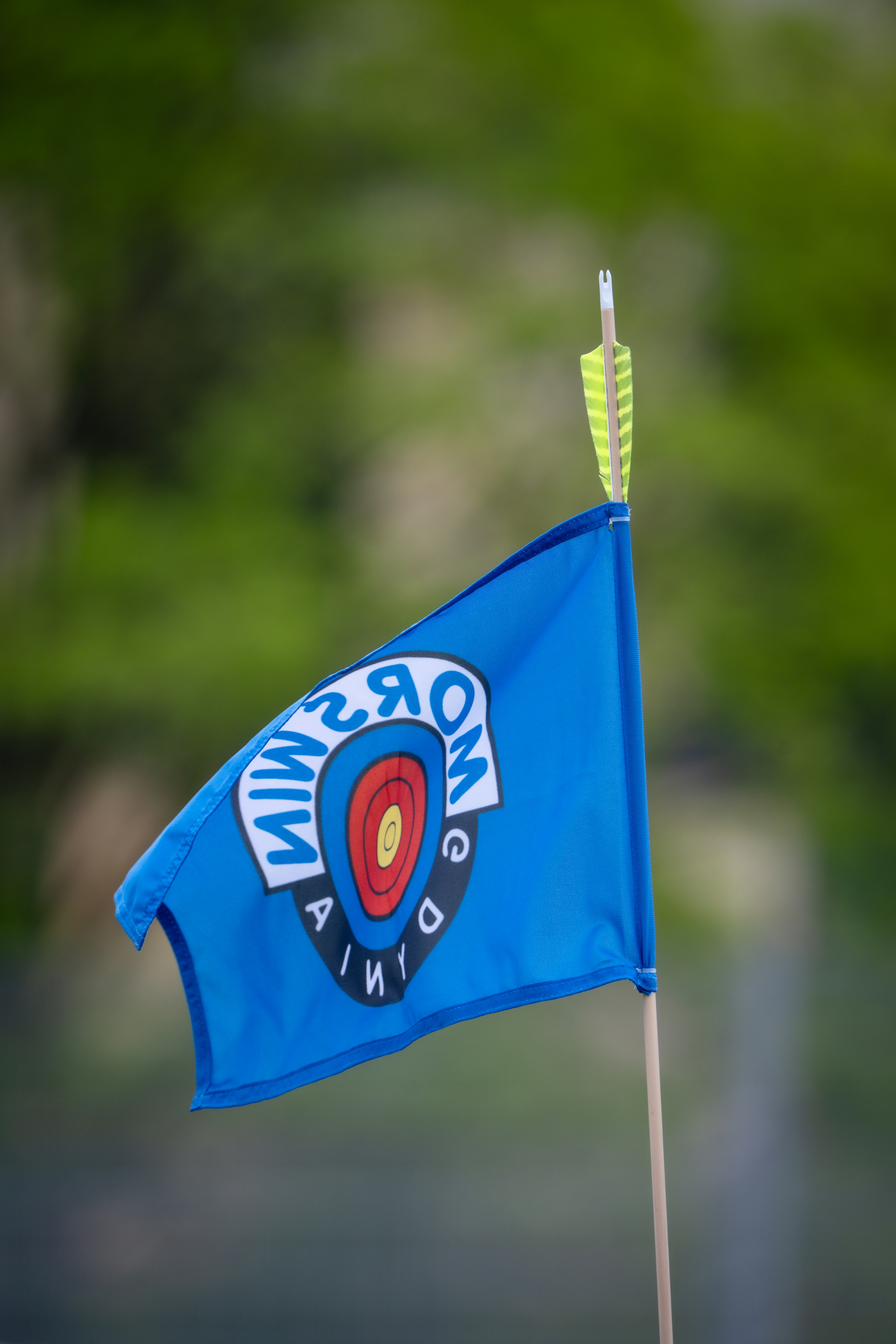 Blue flag on a pole: Emblem in motion against a green backdrop