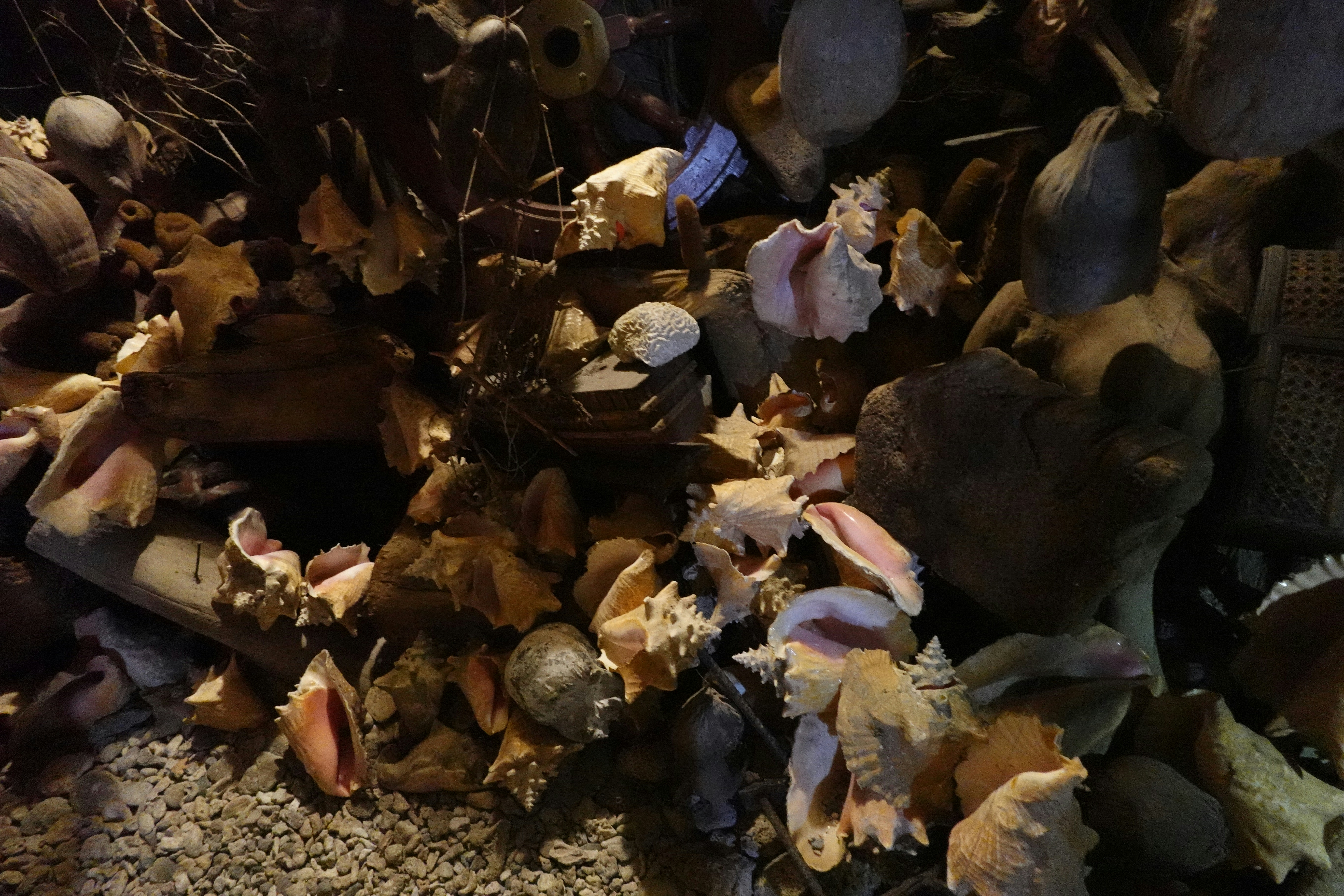 Cluster of weathered shells, pebbles, and dried flora arranged along a wooden backdrop with gravel at the base.