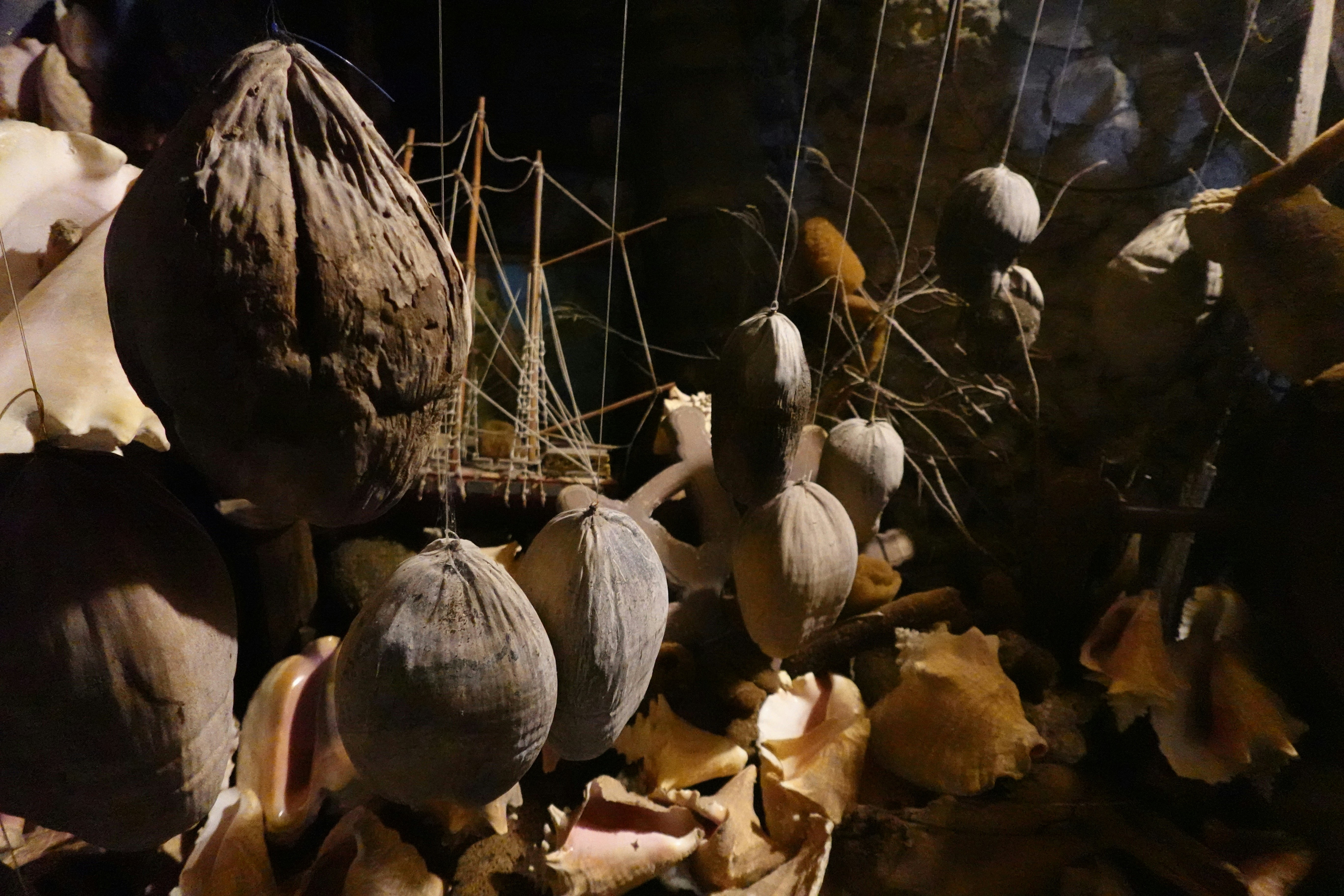 Floating Seed Pods in Night Garden