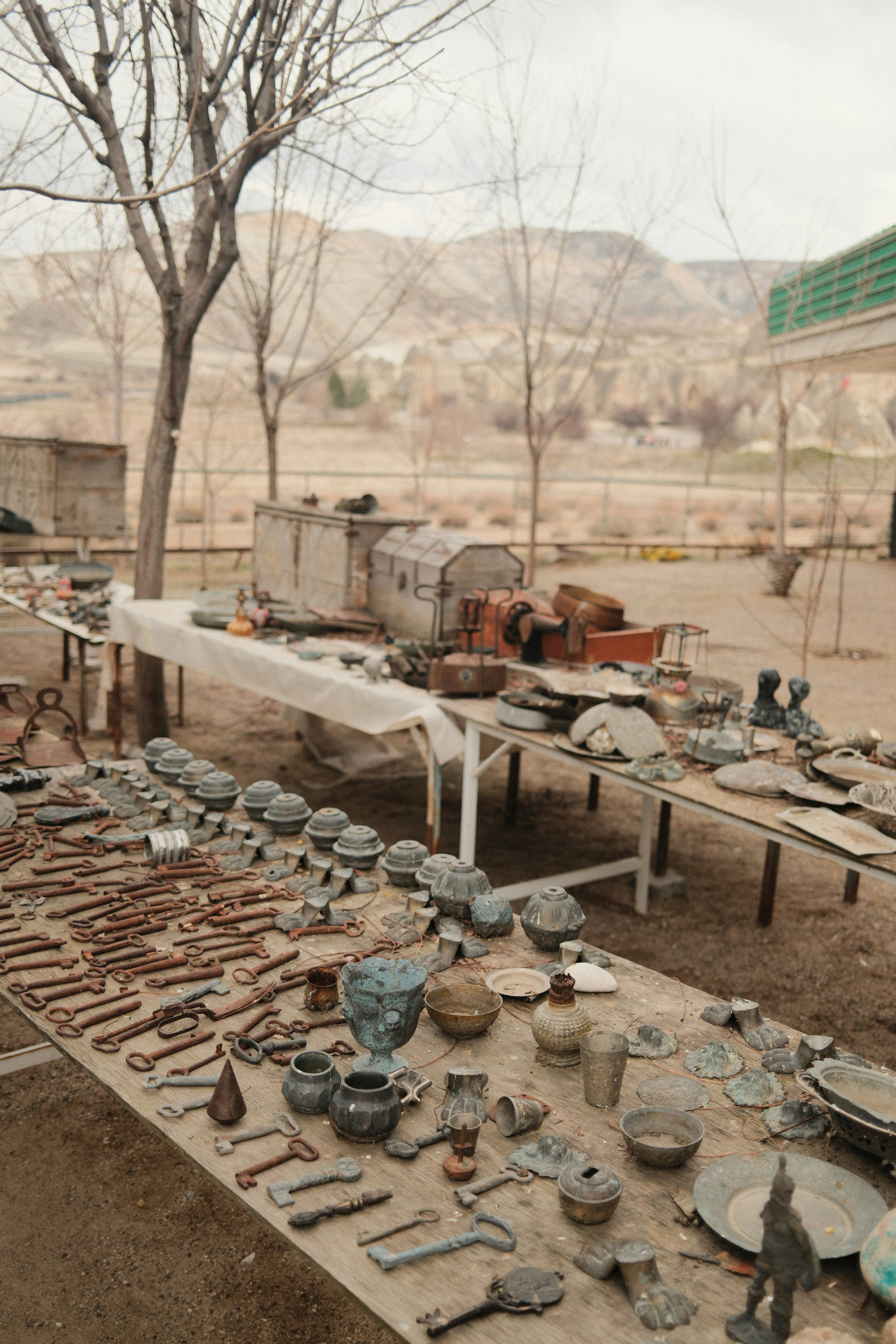 Market of Forgotten Tools Under Desert Trees