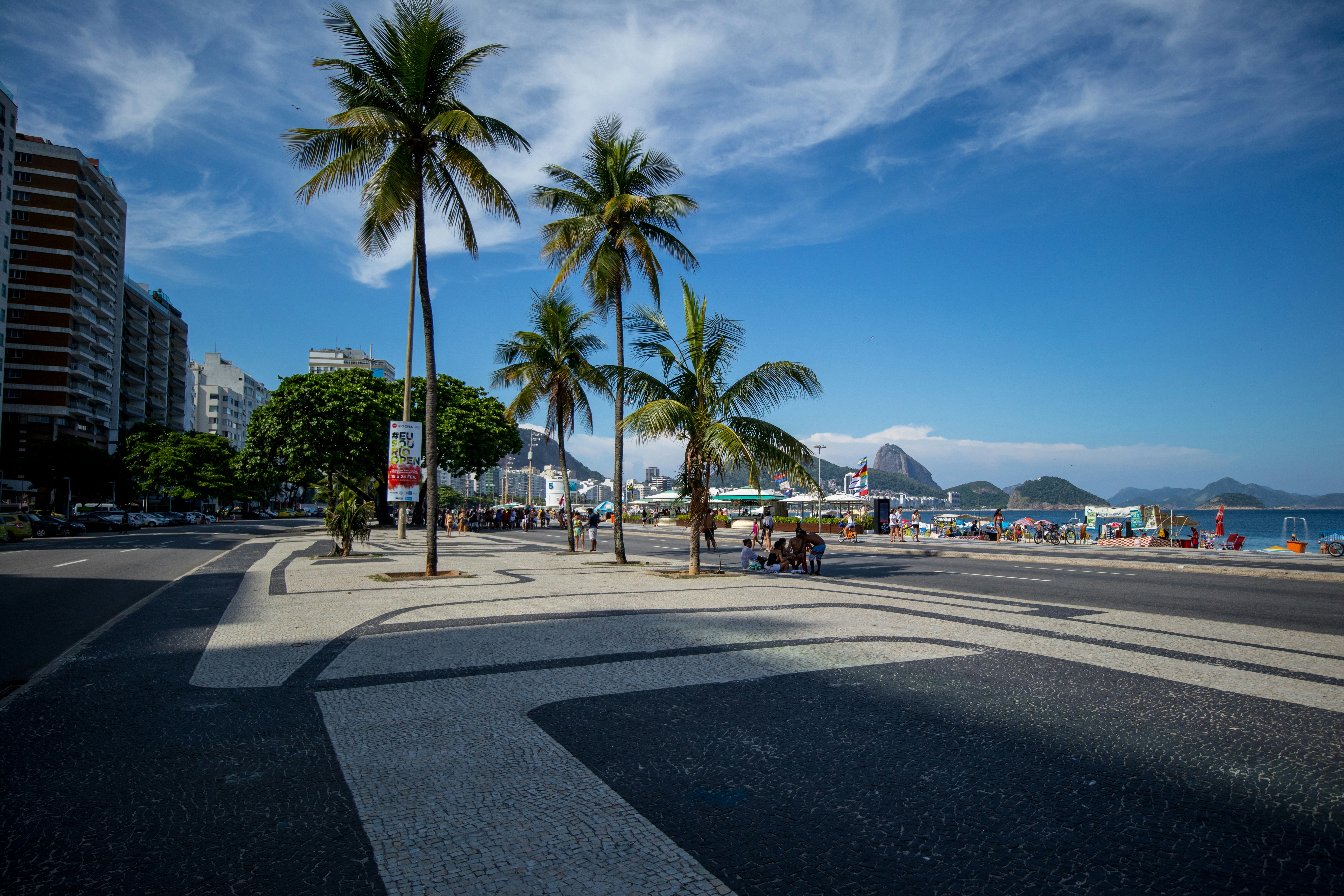 Palm-lined promenade at a sunlit beach park