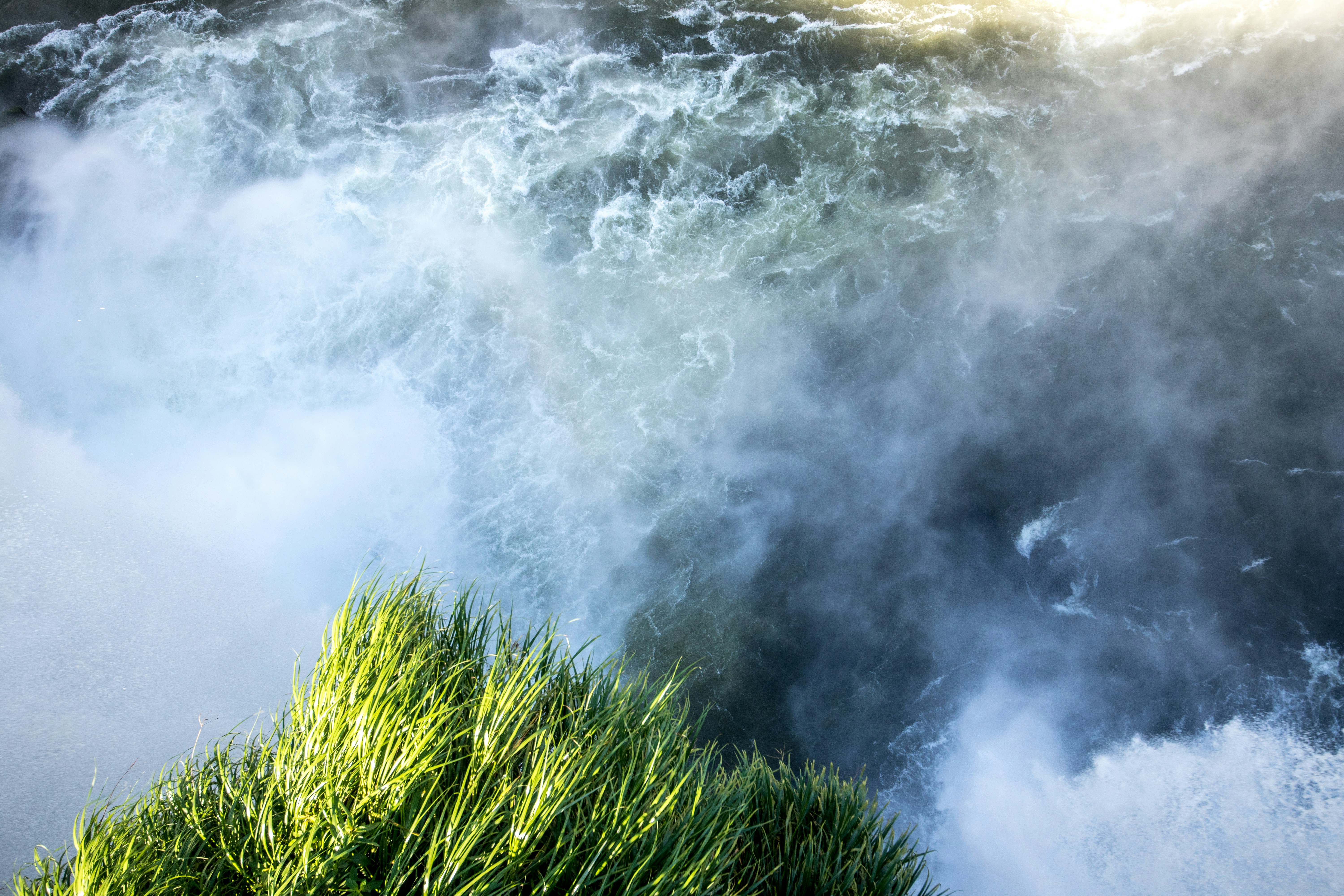 Coastal Cliffside Grassling Overlooking Churning Blue Waves