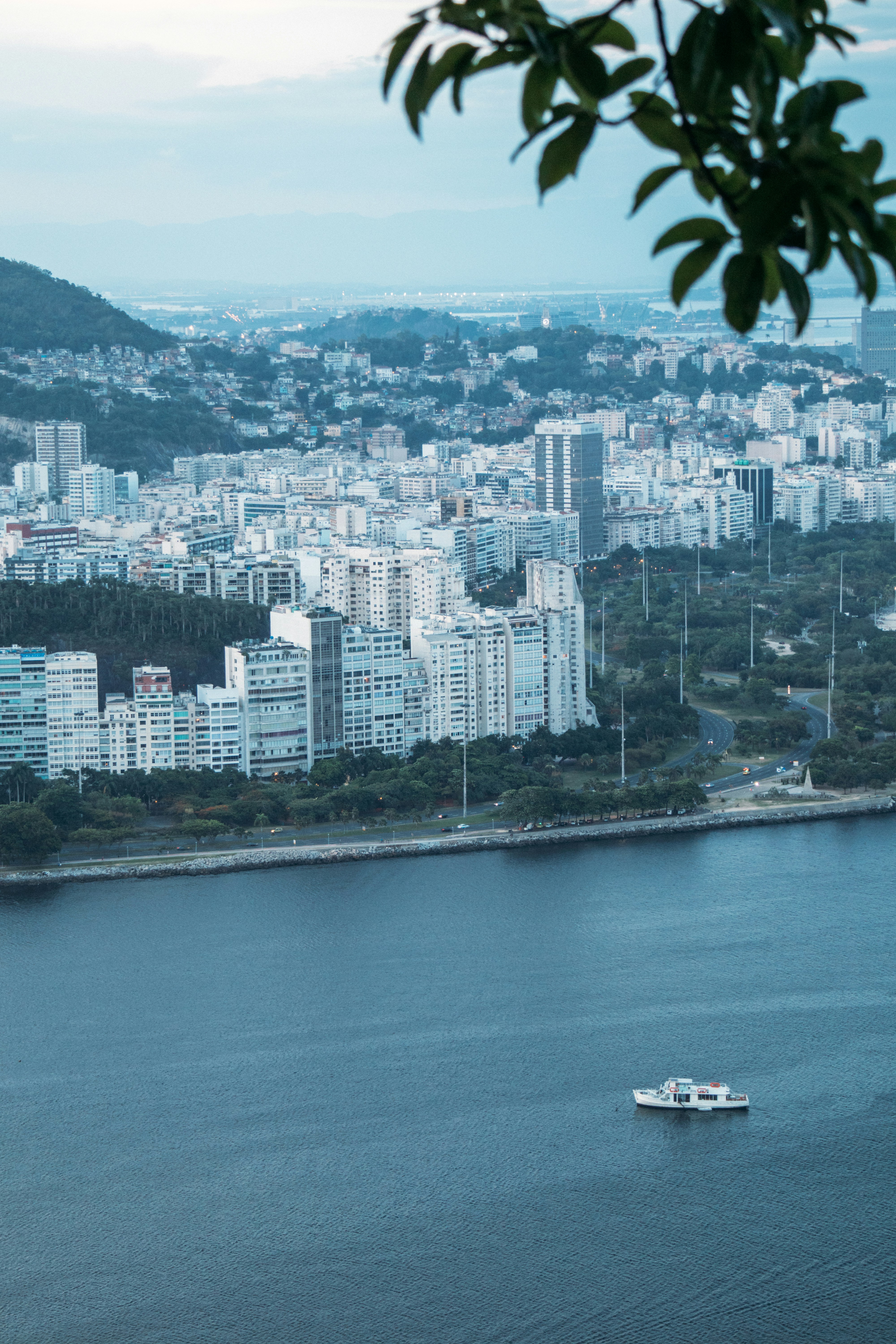 Overlooked Harbor: City Blocks Meet the River