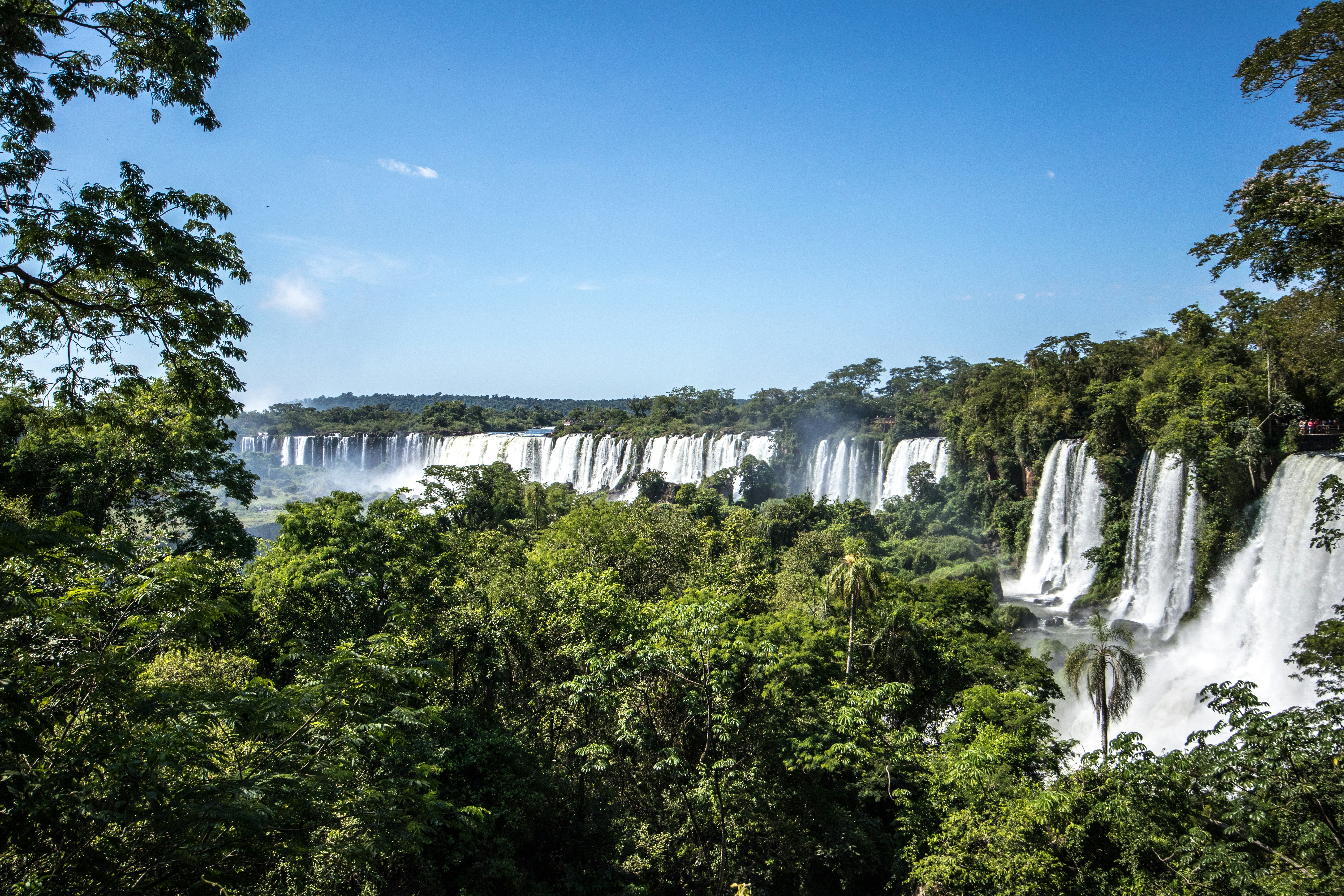Stunning waterfalls cascade through a vibrant green forest.
