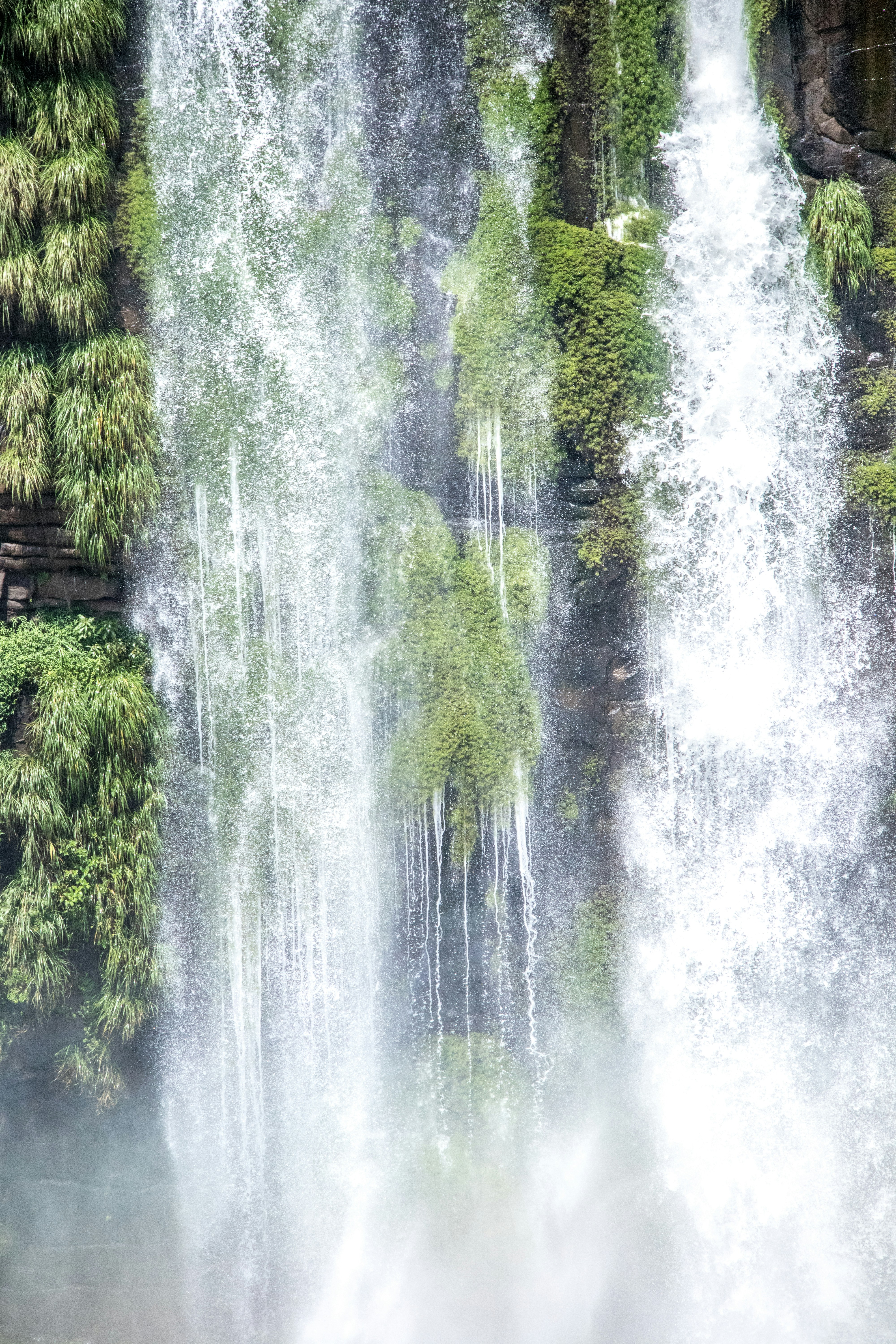 Verdant Veil: Moss-Covered Cascades Shrouded in Mist