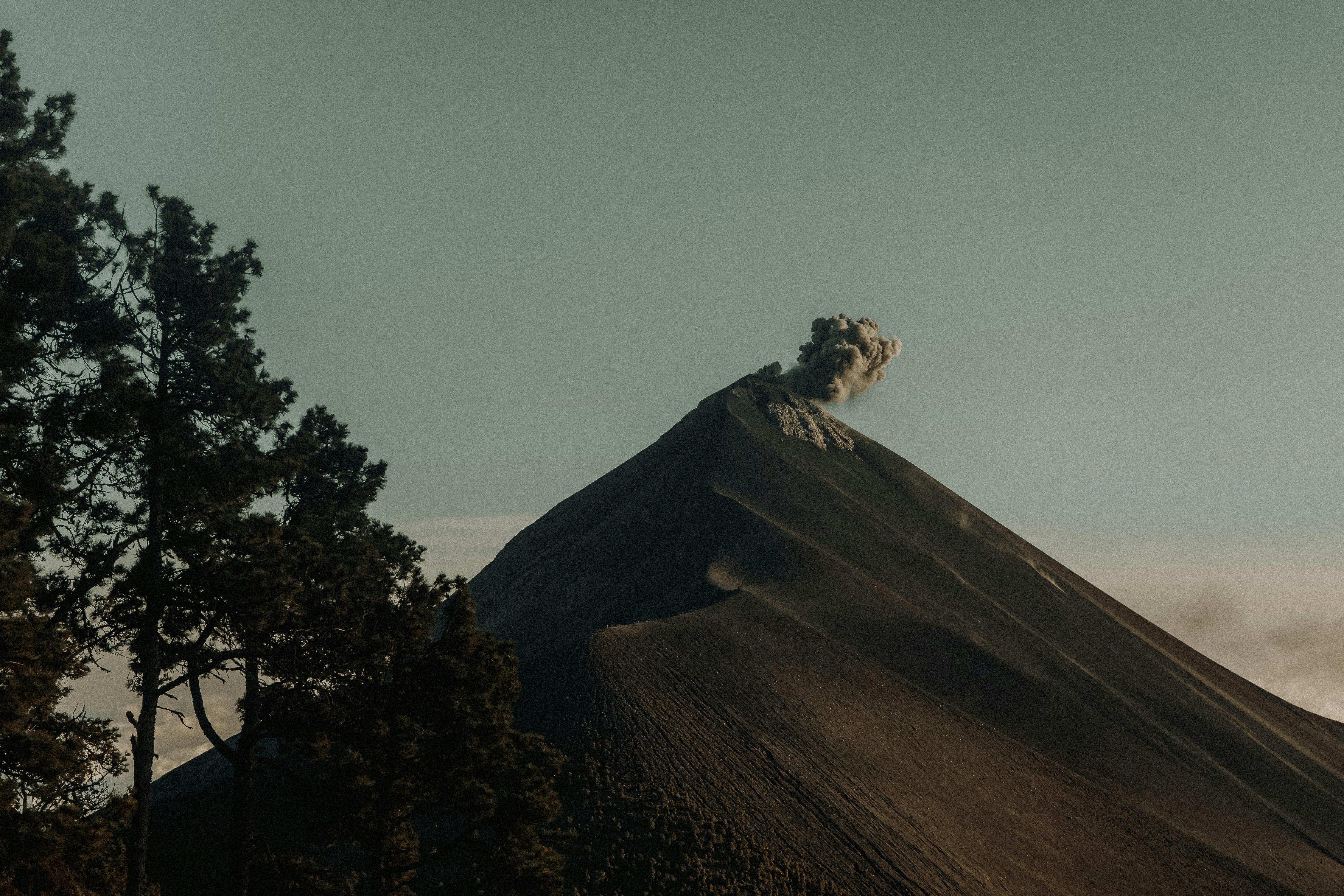 Cone of Silence: A Volcano's Quiet Summit with Sable Pines