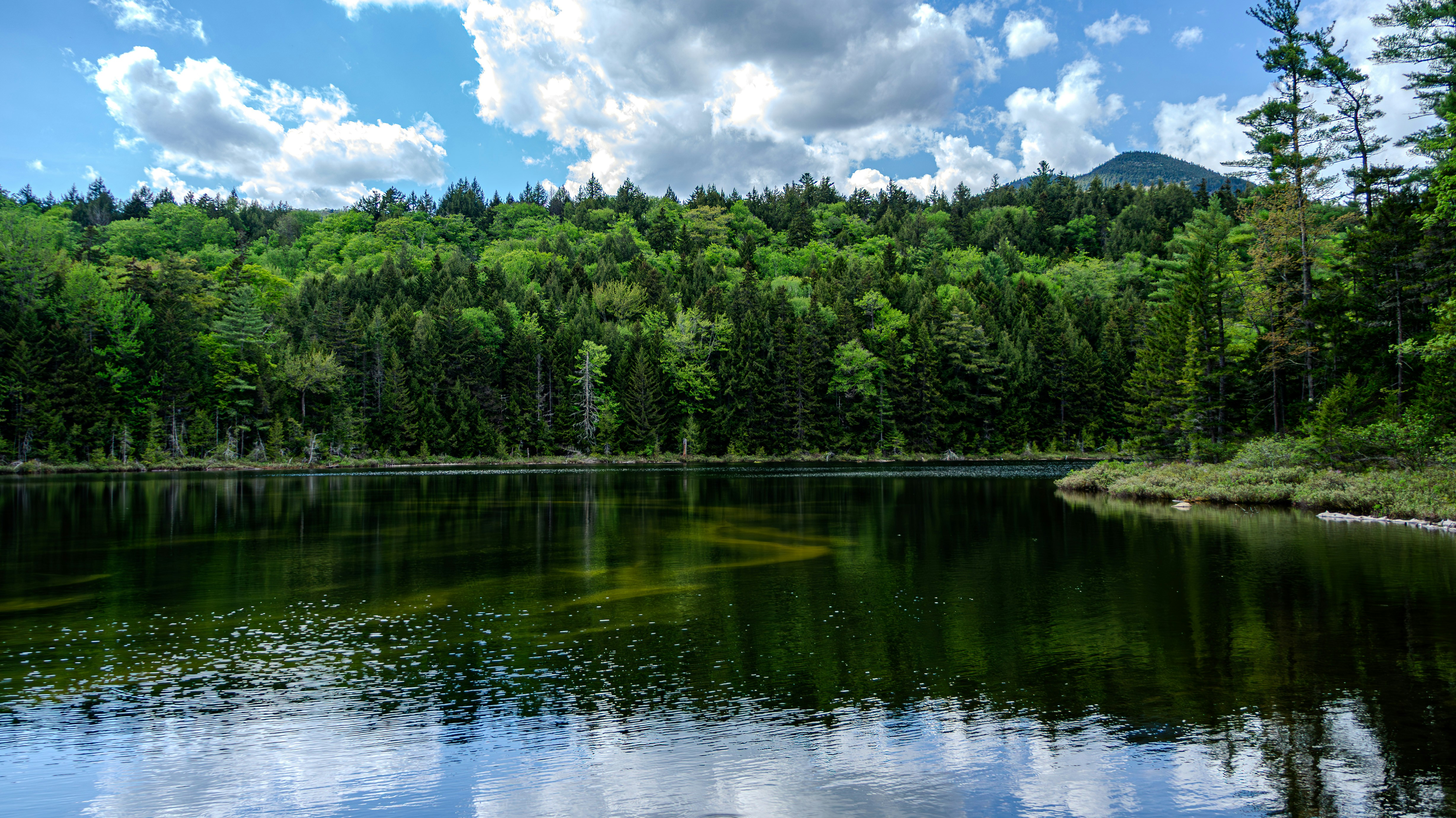 Serene lake reflecting a lush forest and cloudy sky.