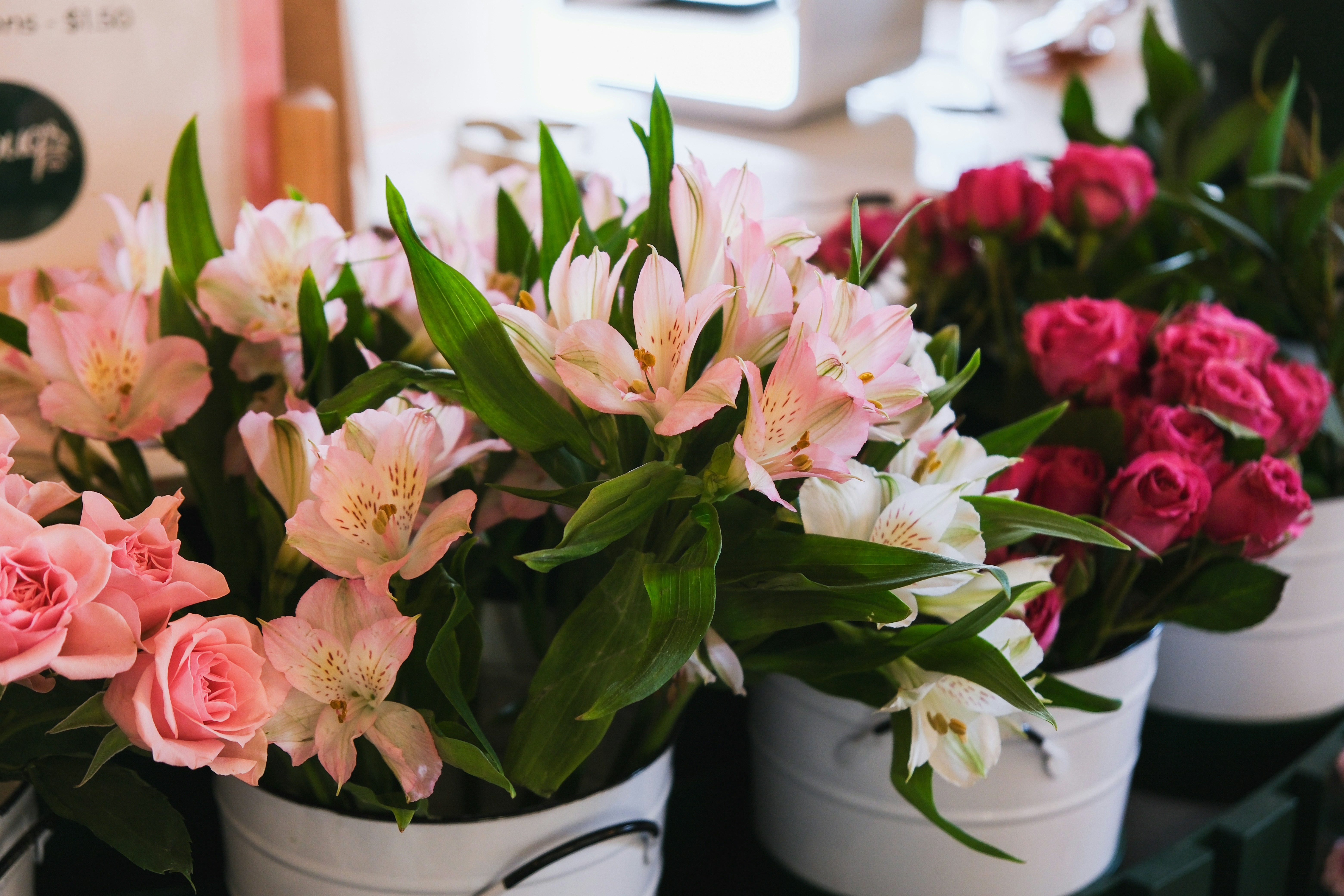 Various pink and white flowers arranged in white pots.