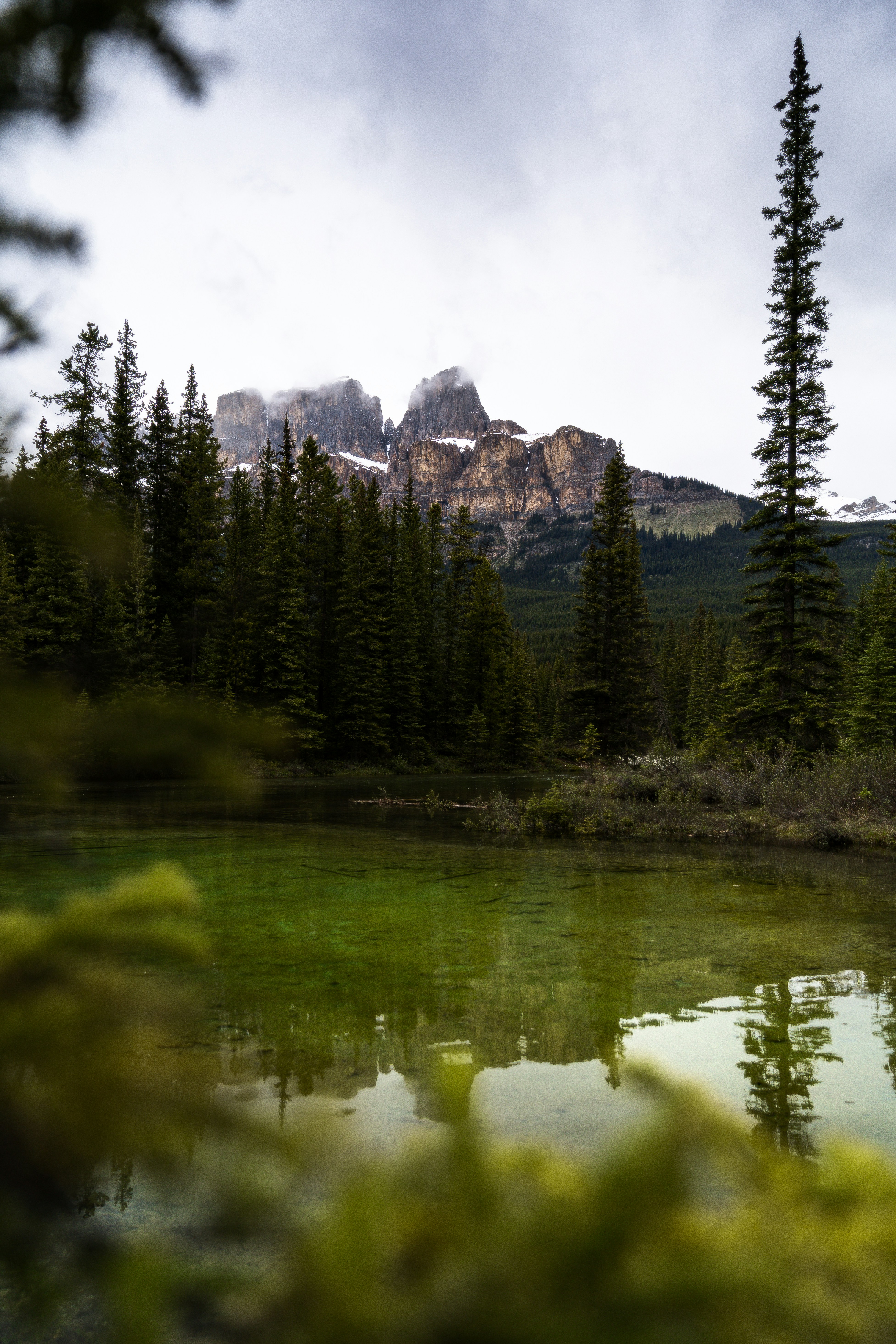 Still Lake Bordering the Pines Beneath Rugged Peaks
