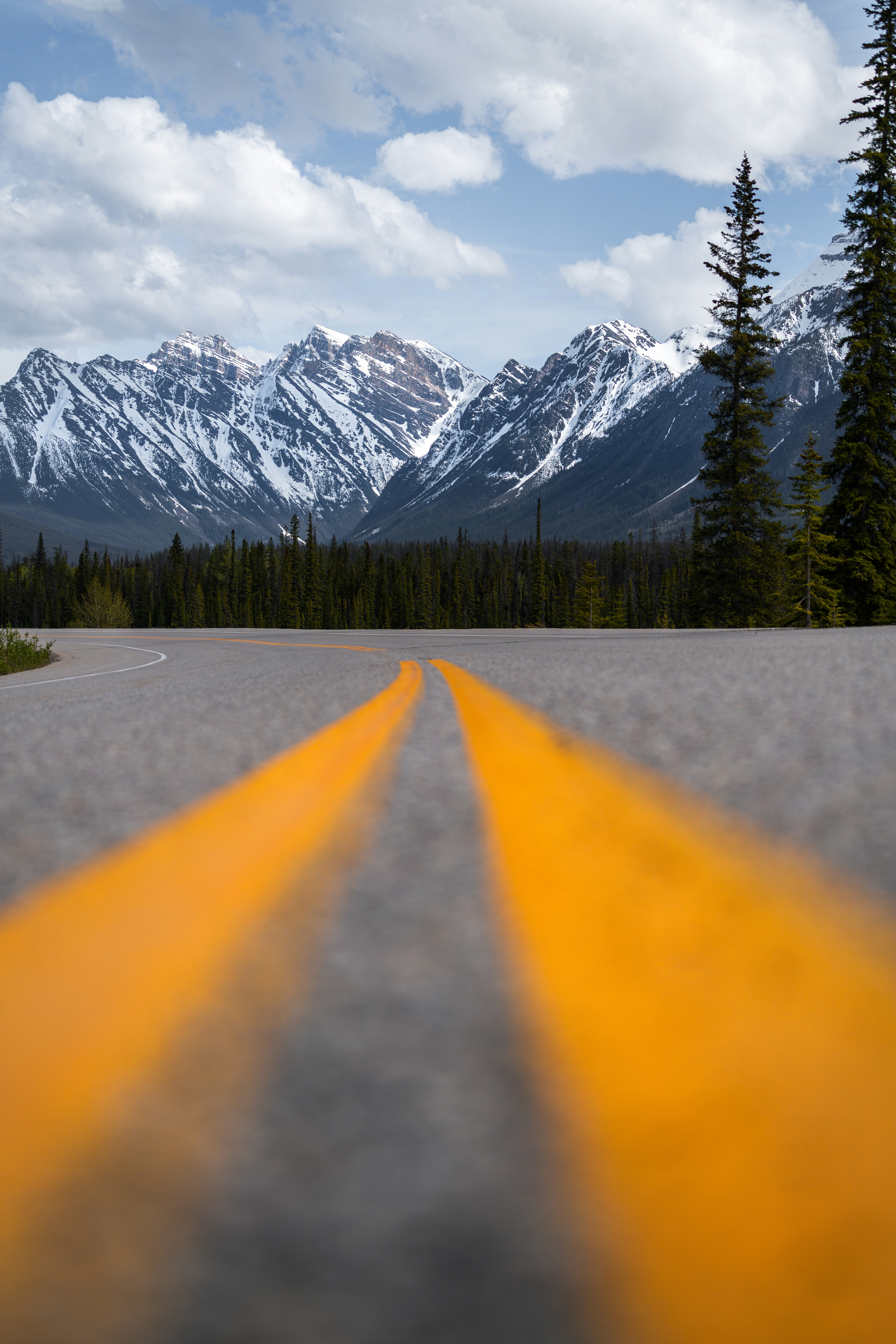Yellow Road Looming Toward Snow-Capped Peaks