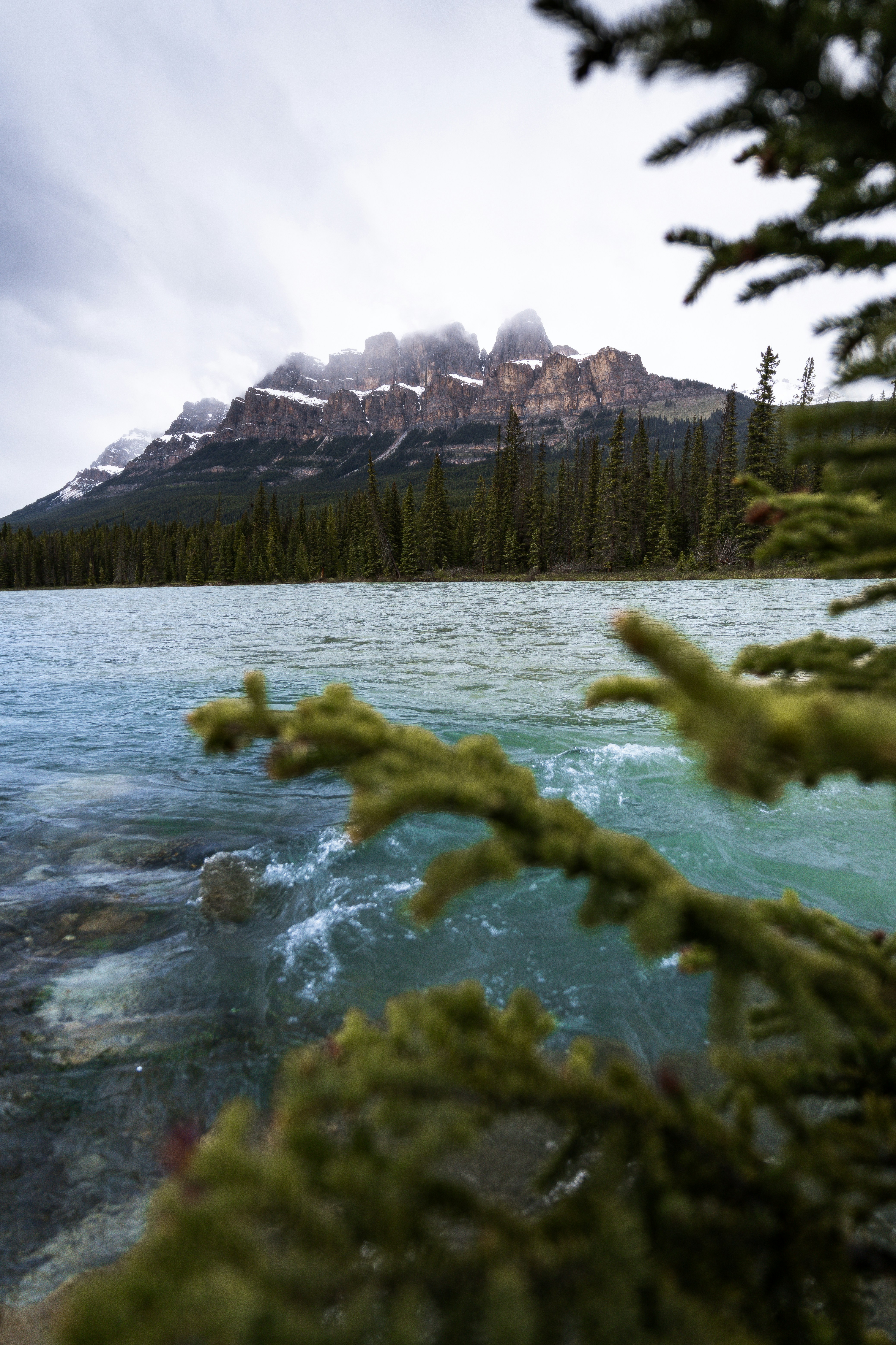 Emerald Gate: Mountain Lake Framed by Pine