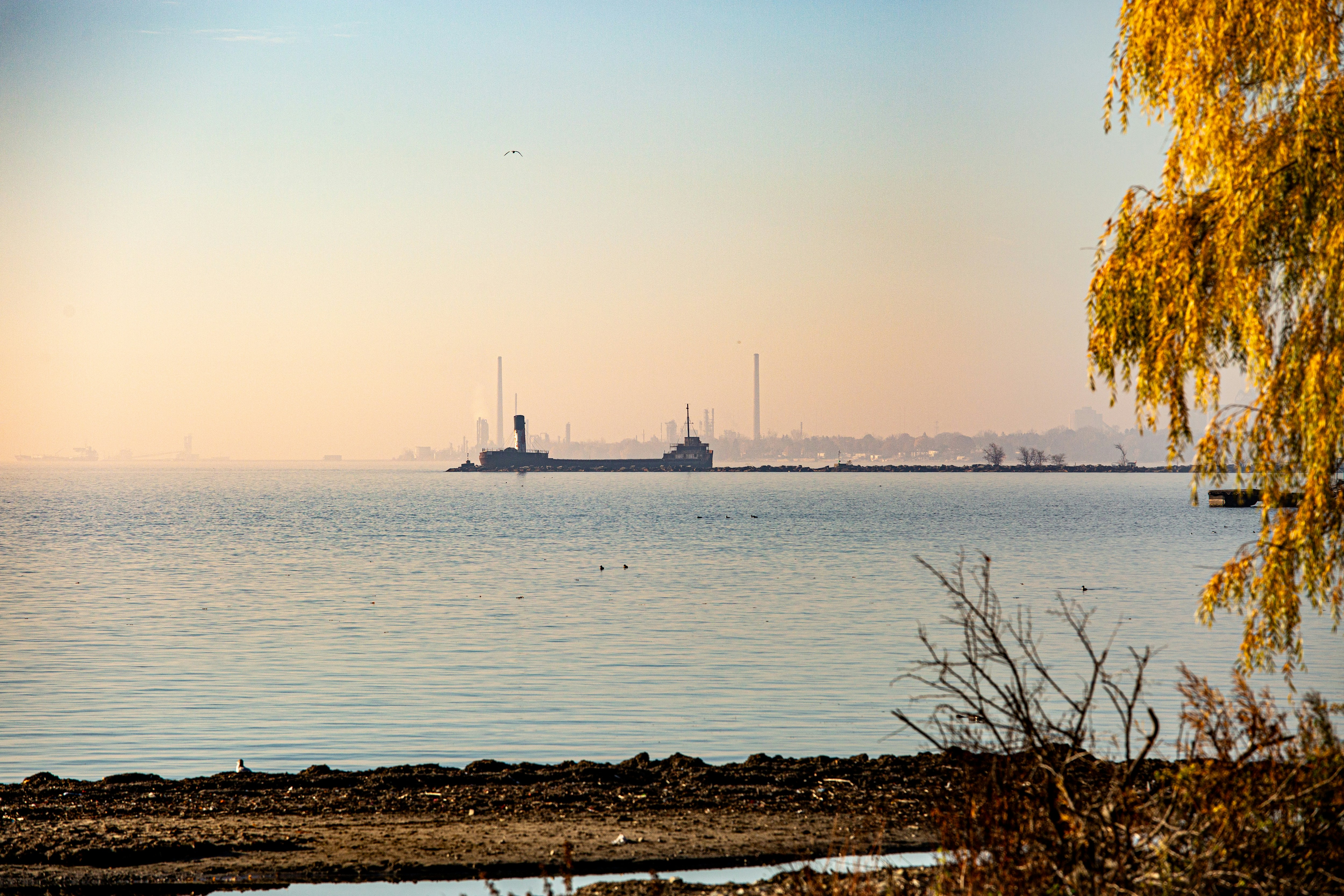 A Quiet Horizon: Industrial Barques Beyond the Dunes