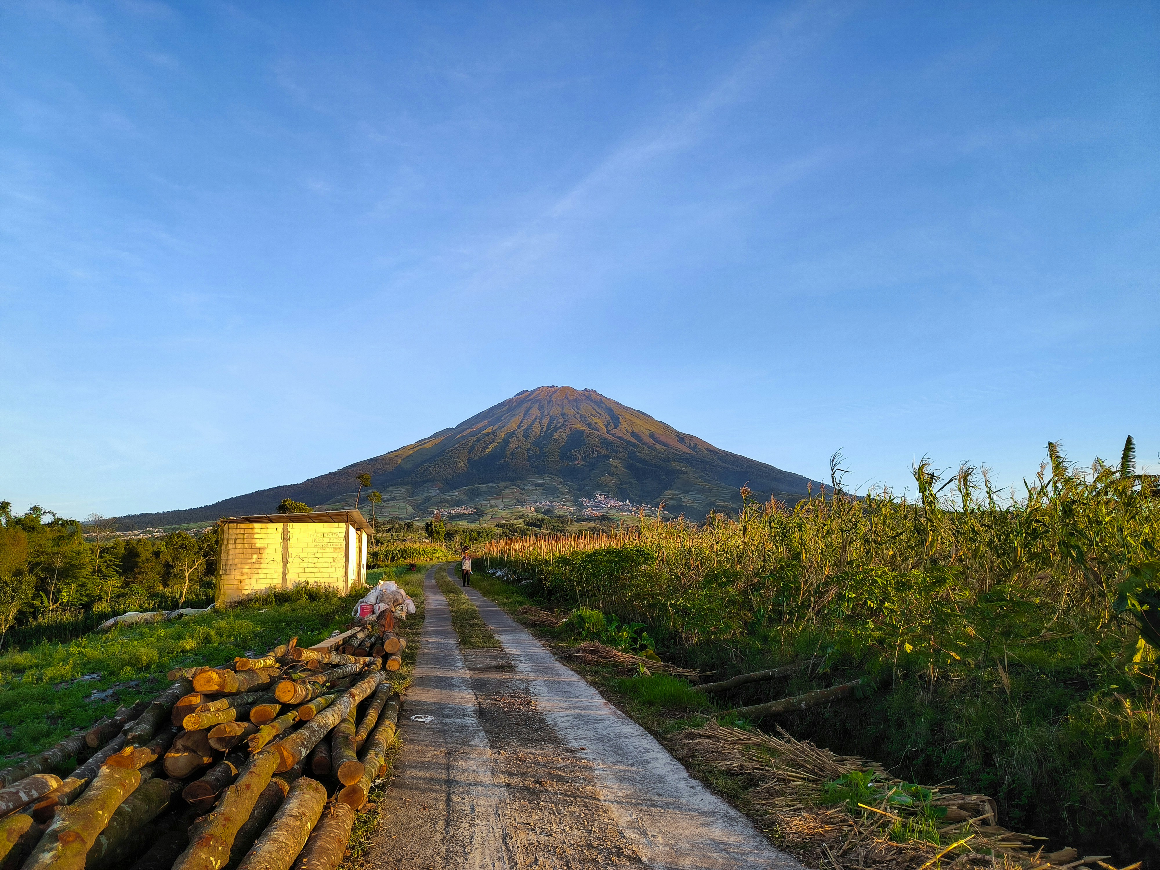 Road to the Volcano: A Farm Path Beneath a Quiet Summit