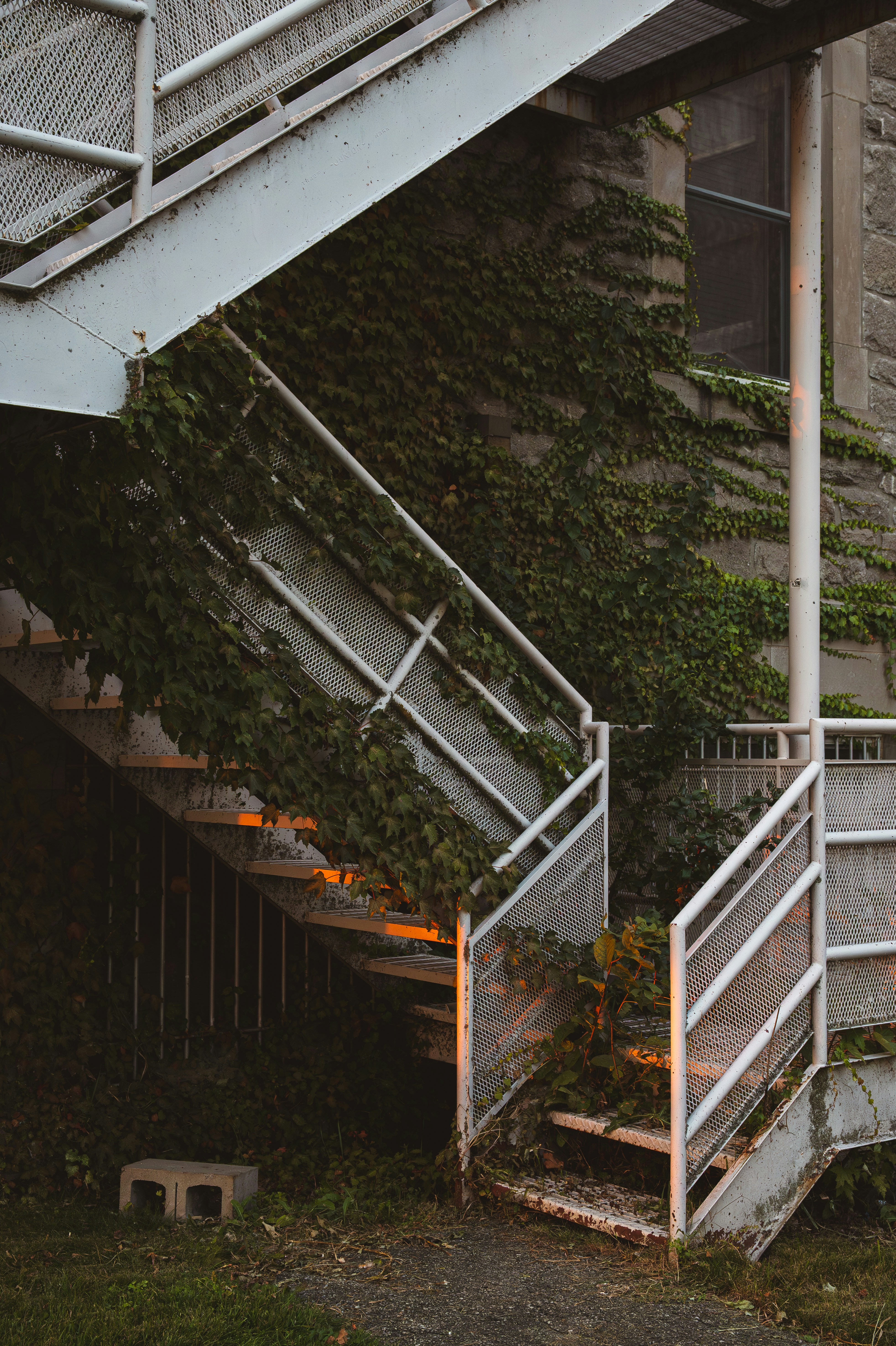 Overgrown Staircase Brings Quiet Geometry to a Rusted Facade