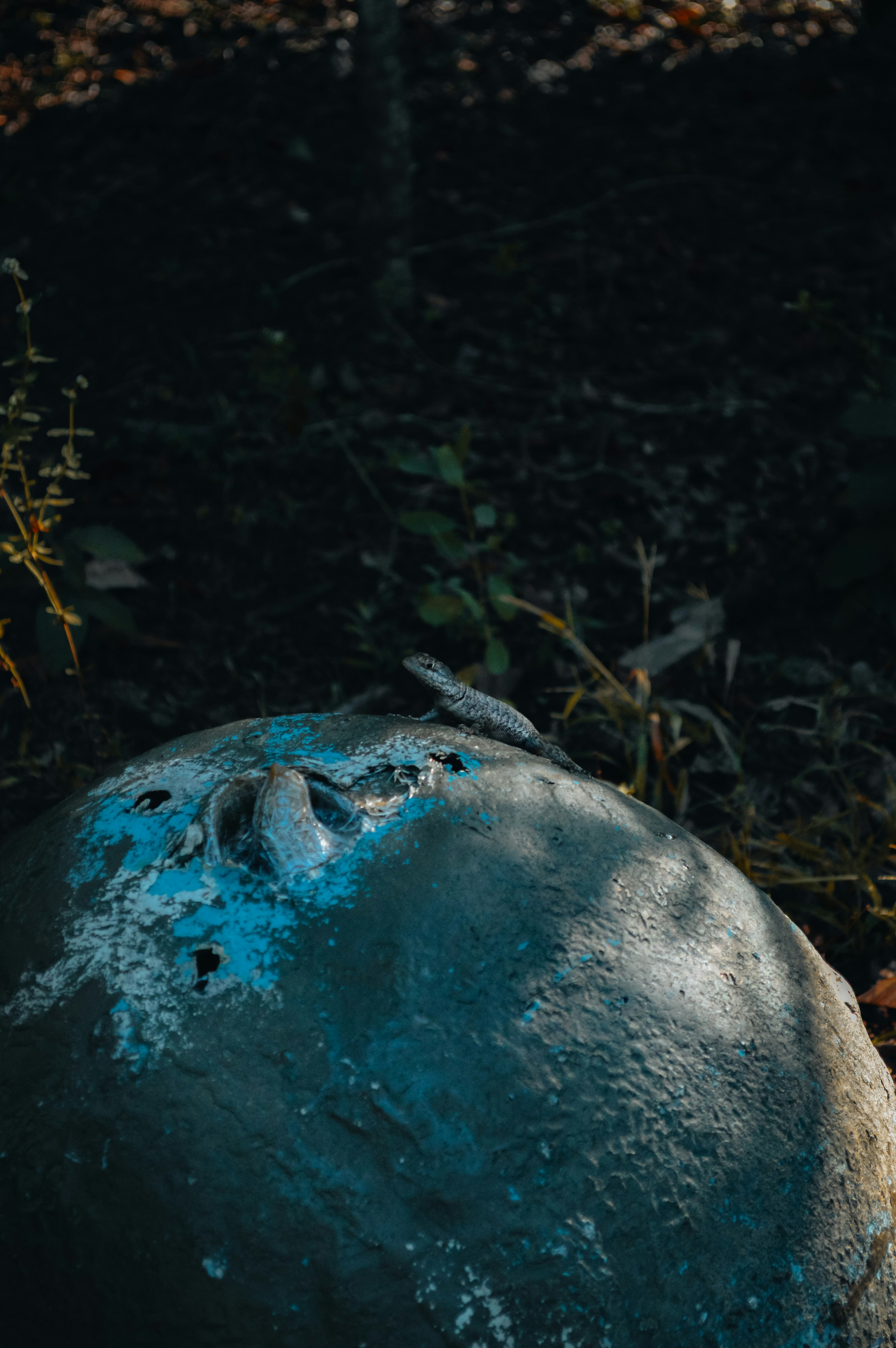 Blue-tinged weathered sculpture face under forest shadow