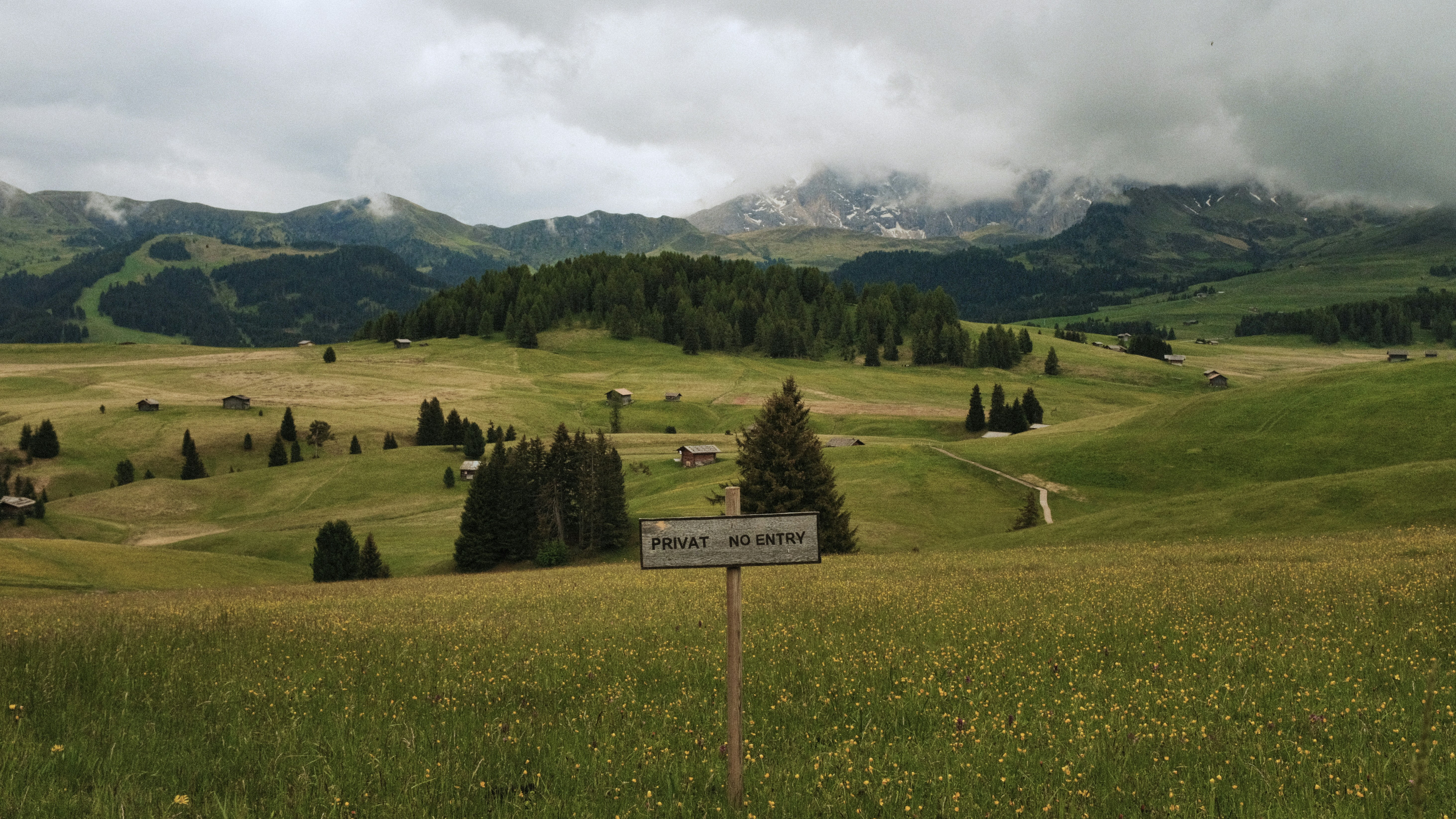 Pastureway Beyond the Ridge
