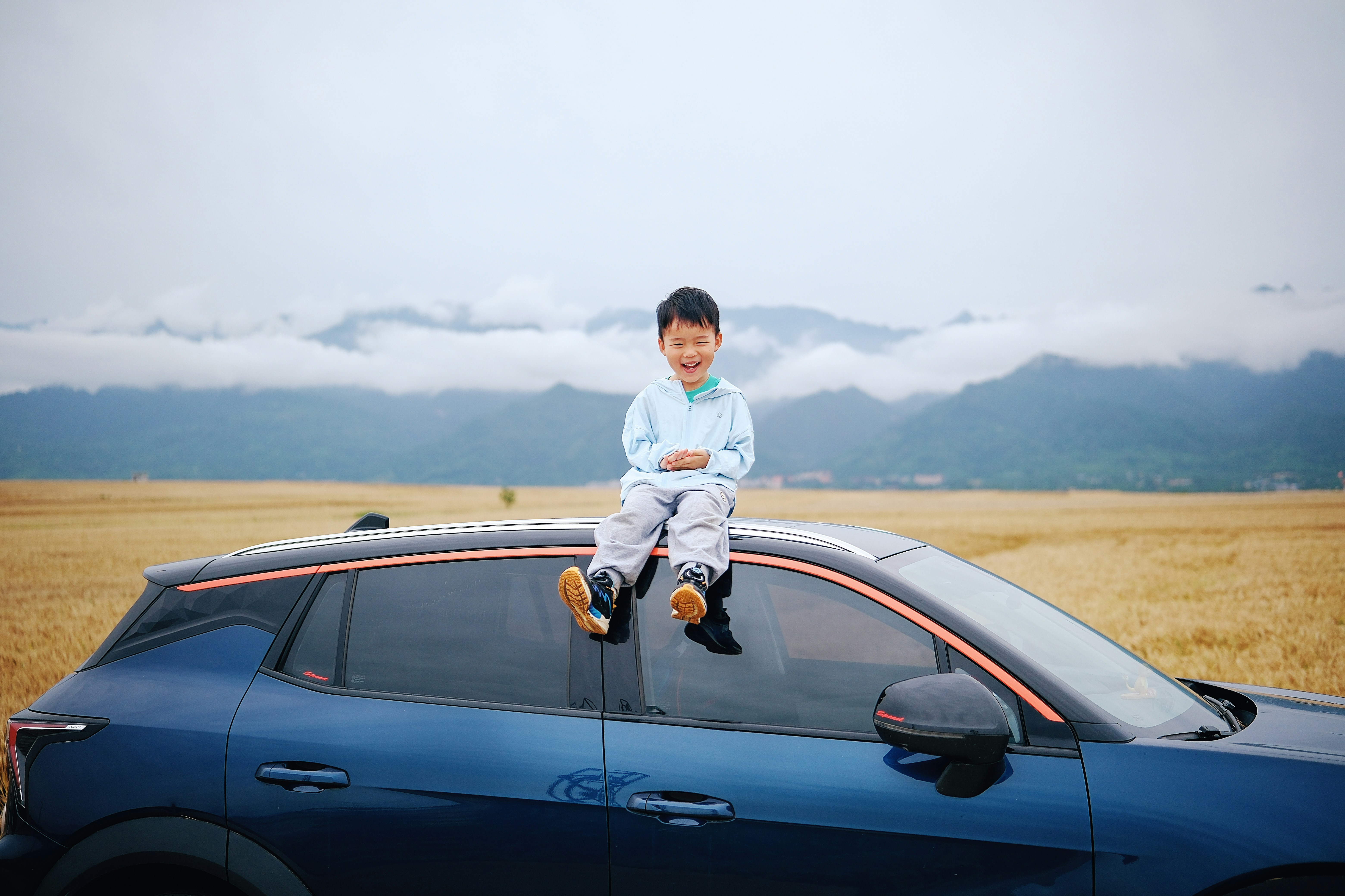 Child on the Car Roof: Quiet Joy Above the Golden Field