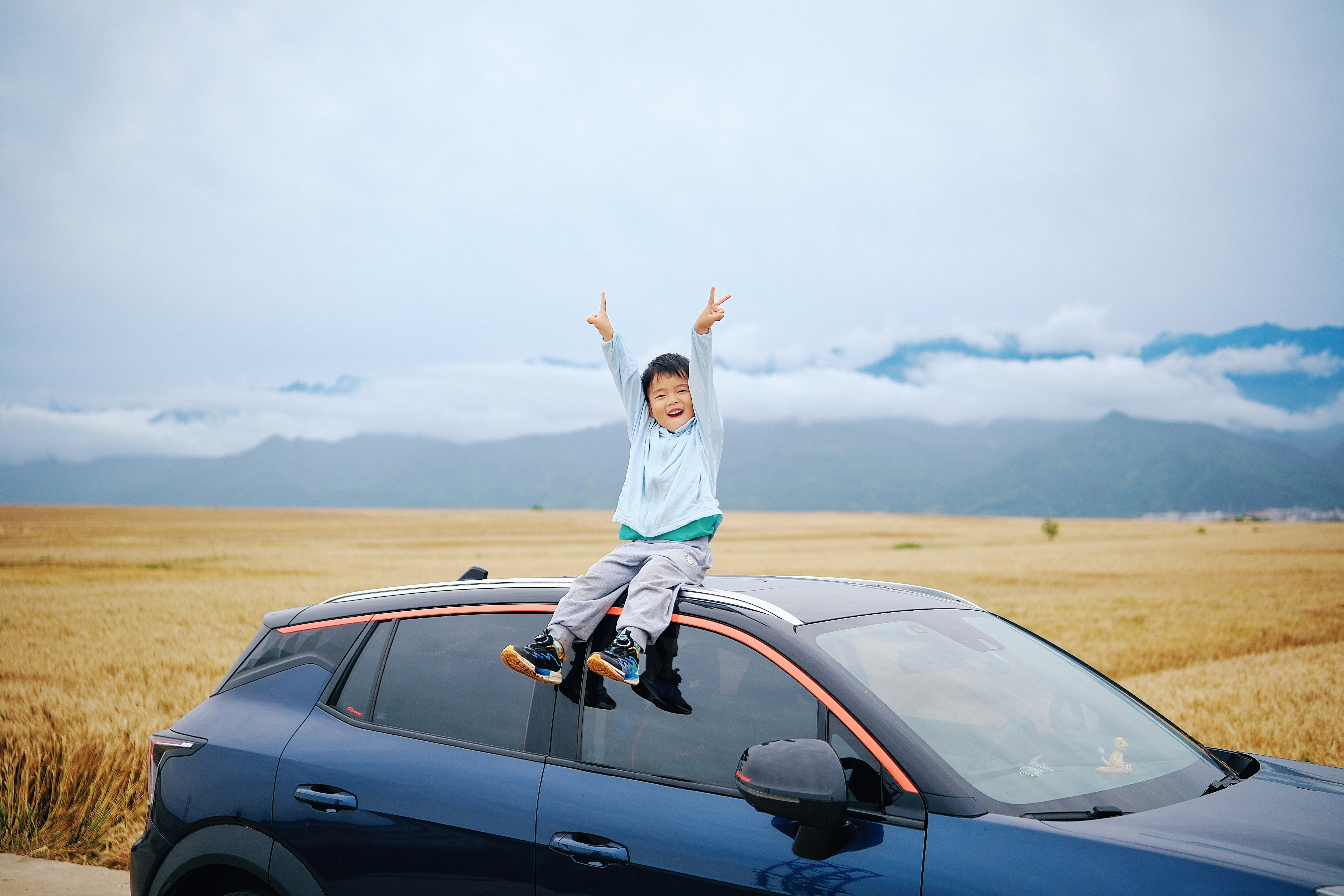Child on the car roof celebrating in a golden field under a cloudy sky