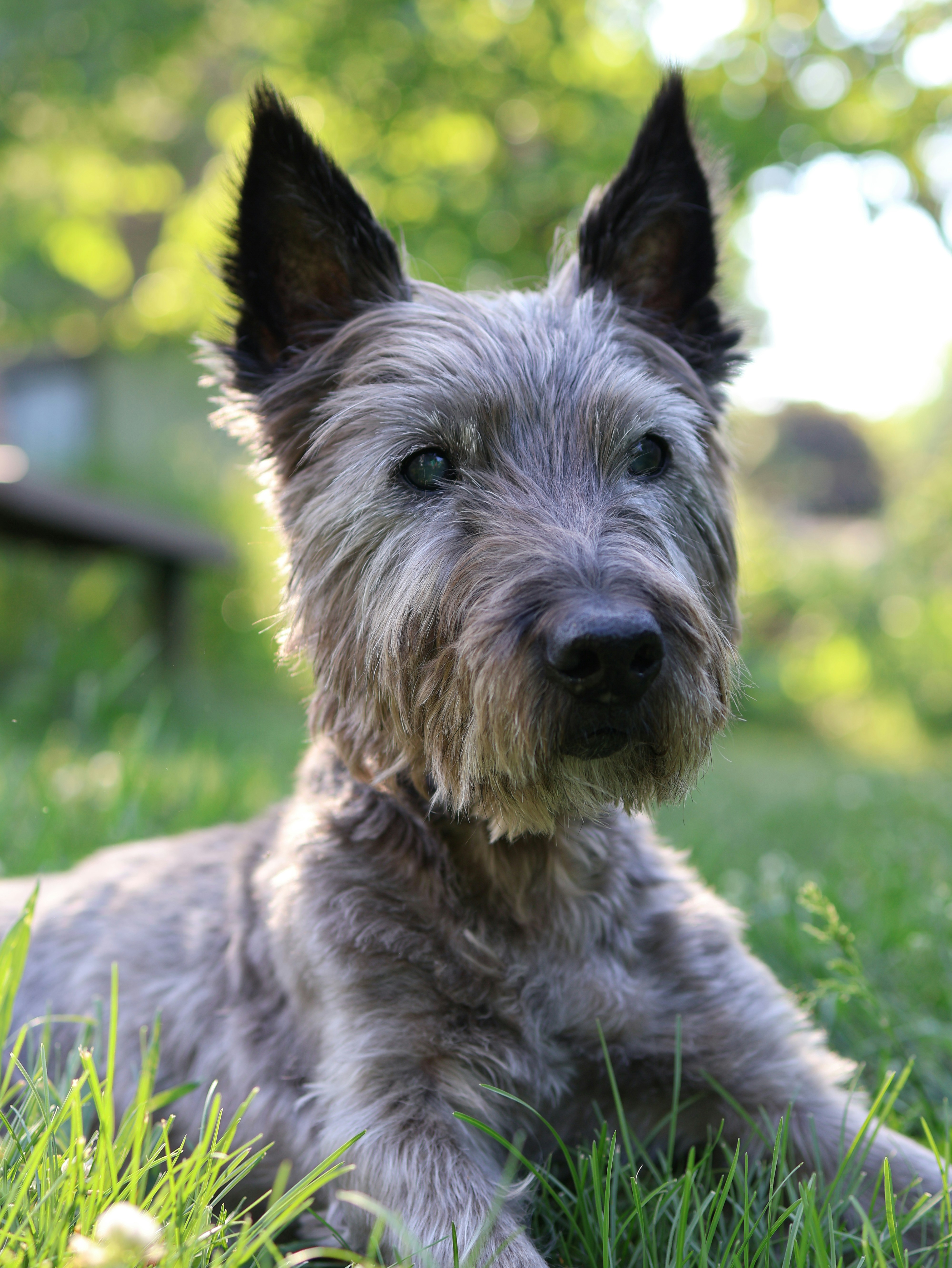 Centered Cairn: A Squint of Sunny Grin on a Grassy Afternoon