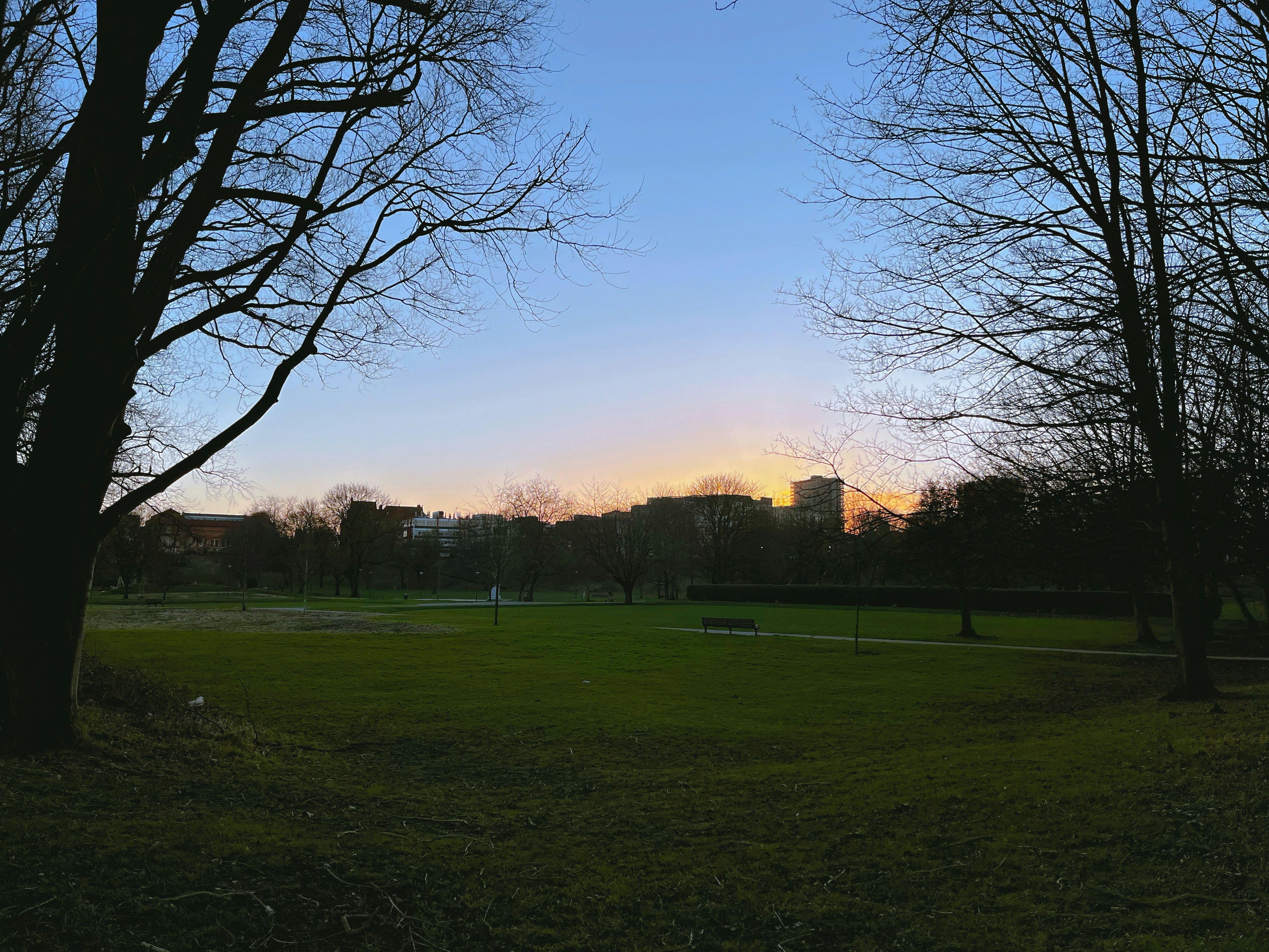 Sunset Skyline Opens Up Over Quiet Park