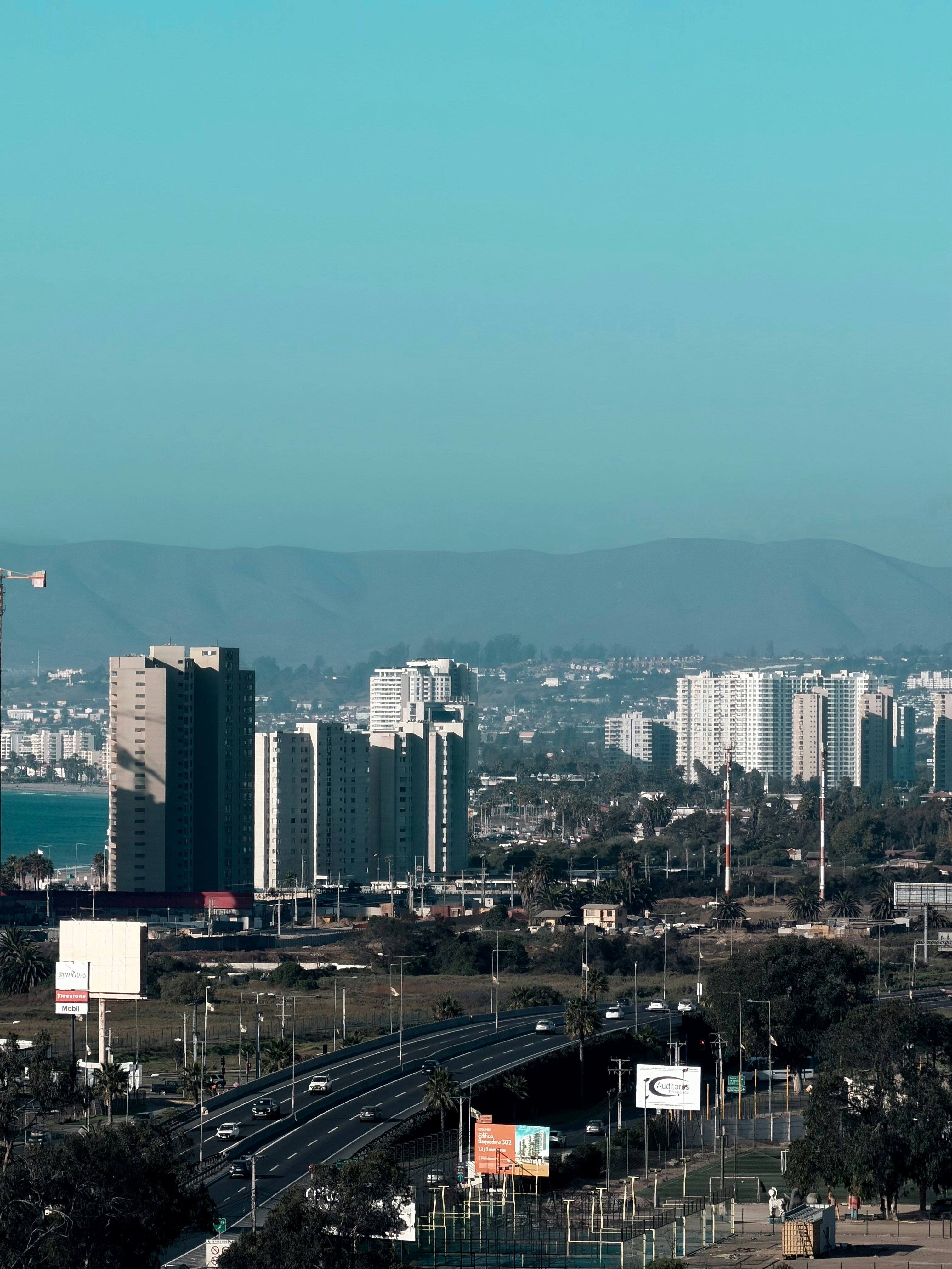 Coastal Skyline Over Palm-Leaf Road