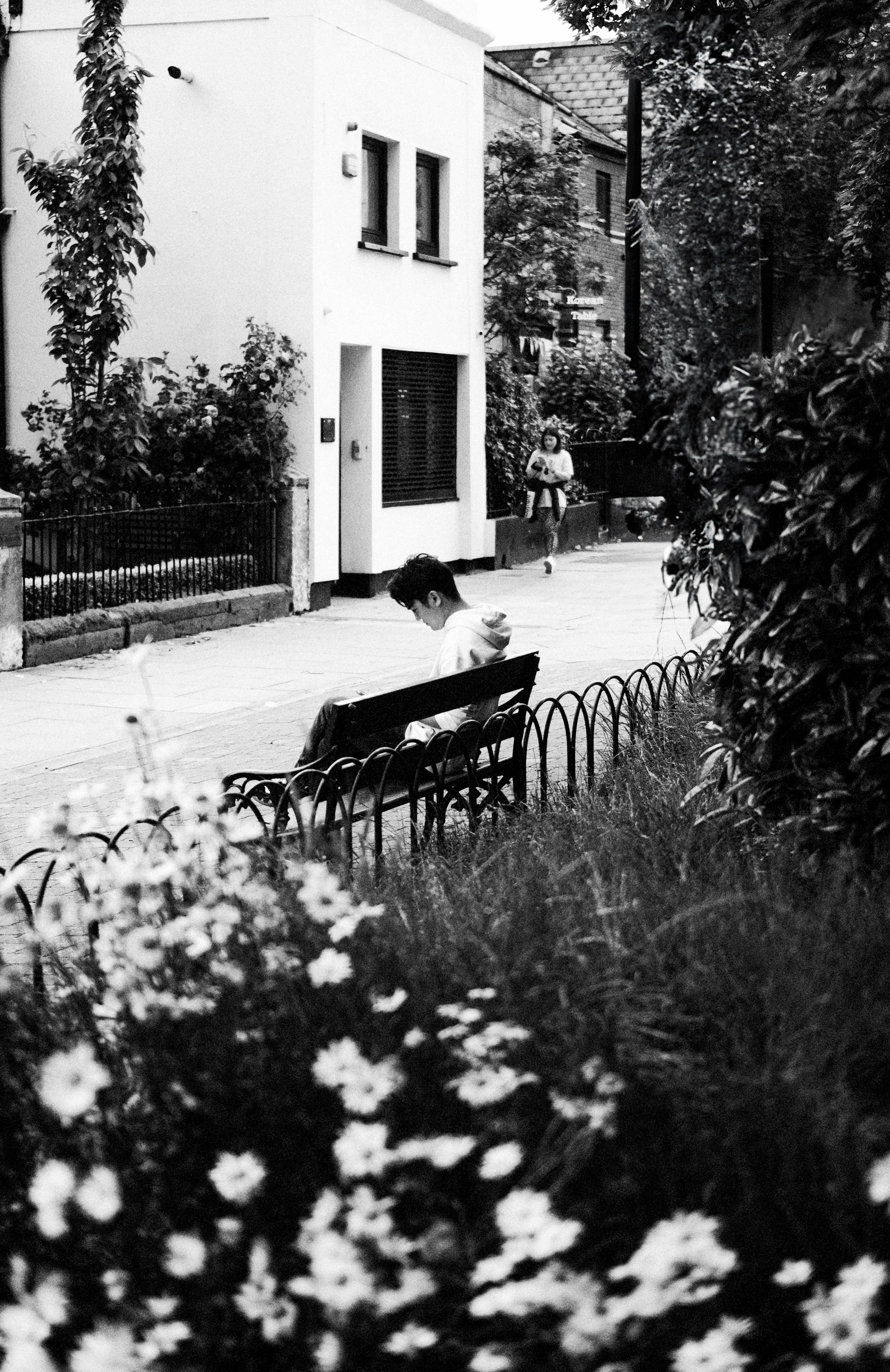 Quiet Moment on the Park Bench