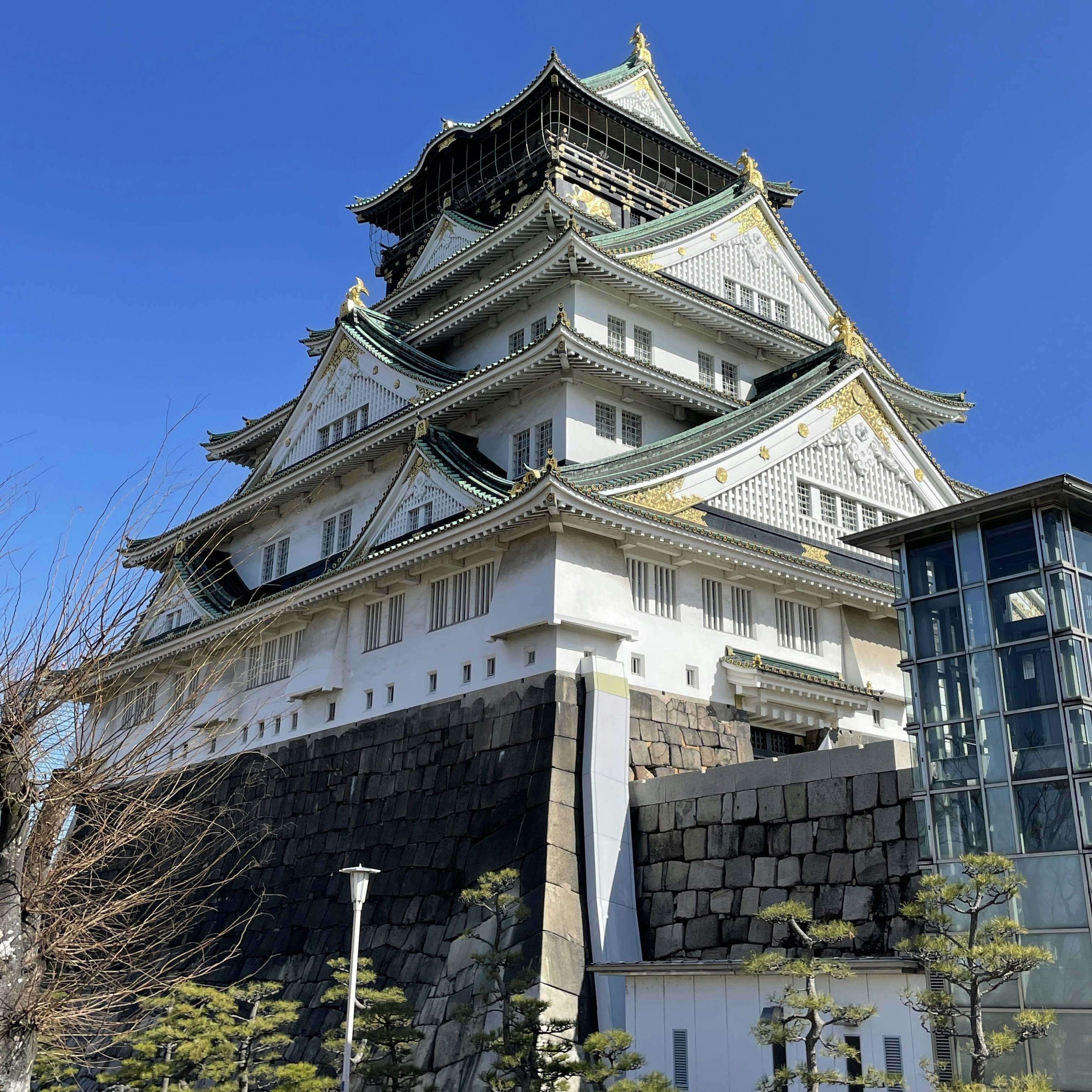 Rising Heritage: The Castle Tower Reaching Toward a Clear Sky