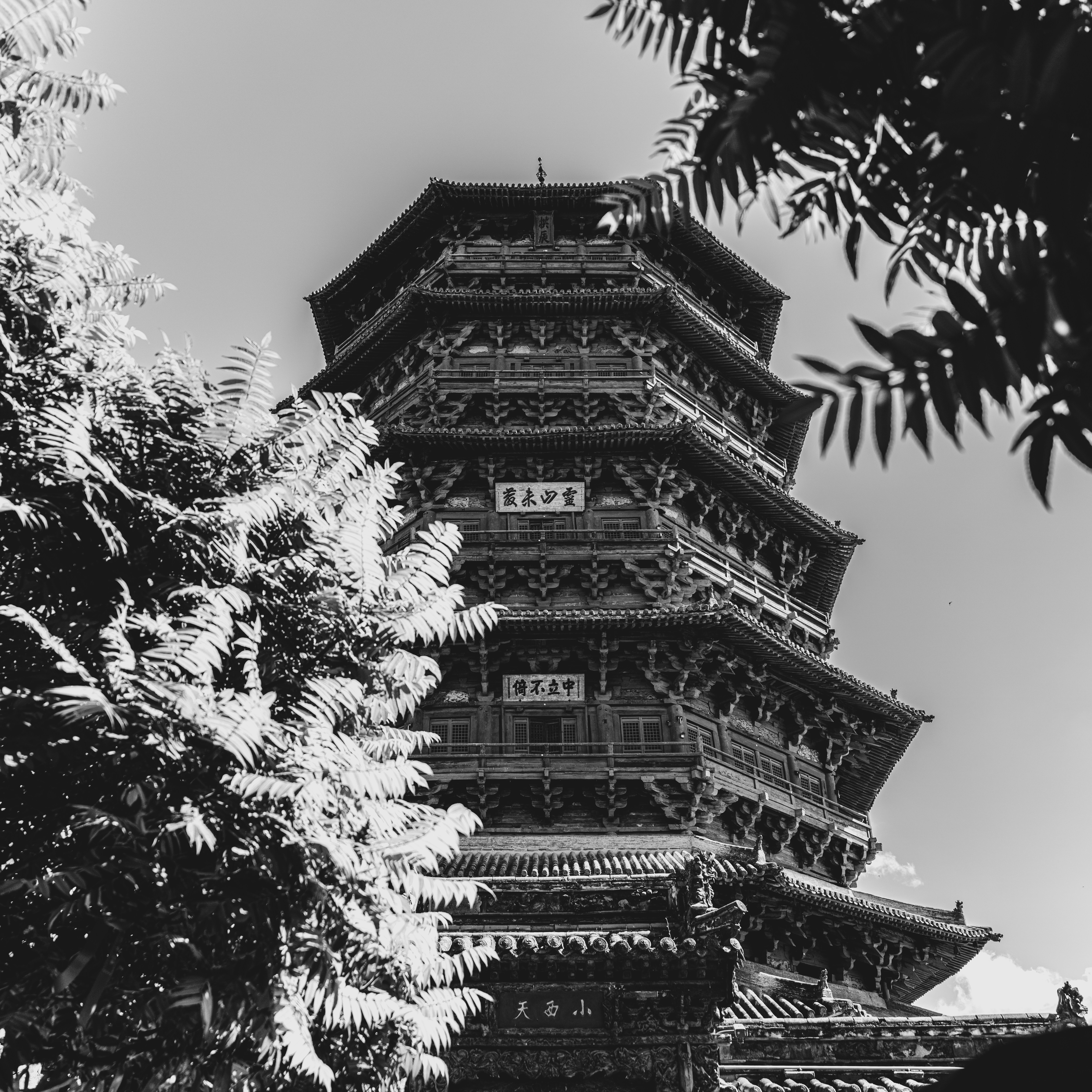 Monumental Pagoda Rising Through Framing Foliage