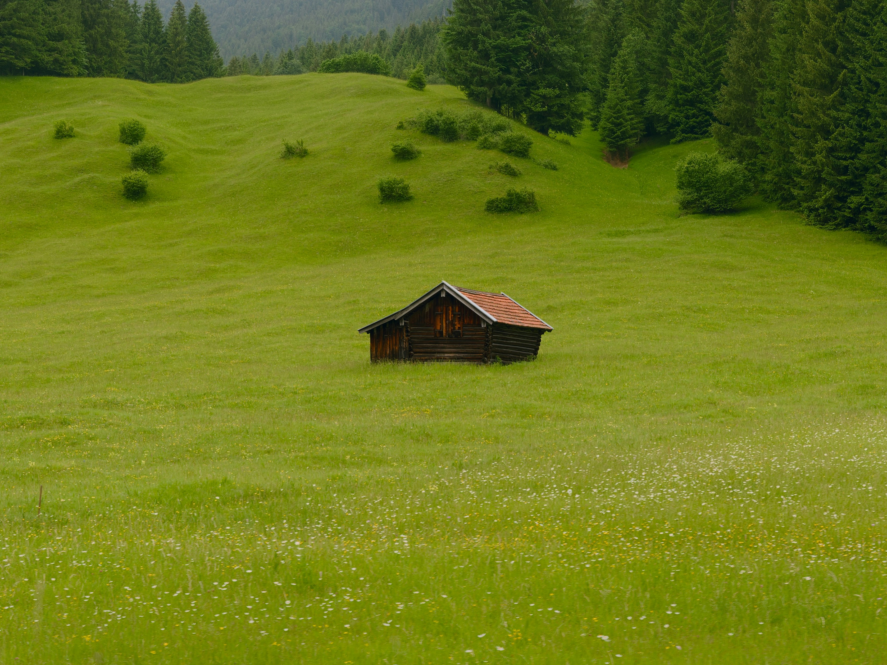  solitary wooden cabin in a rolling meadow