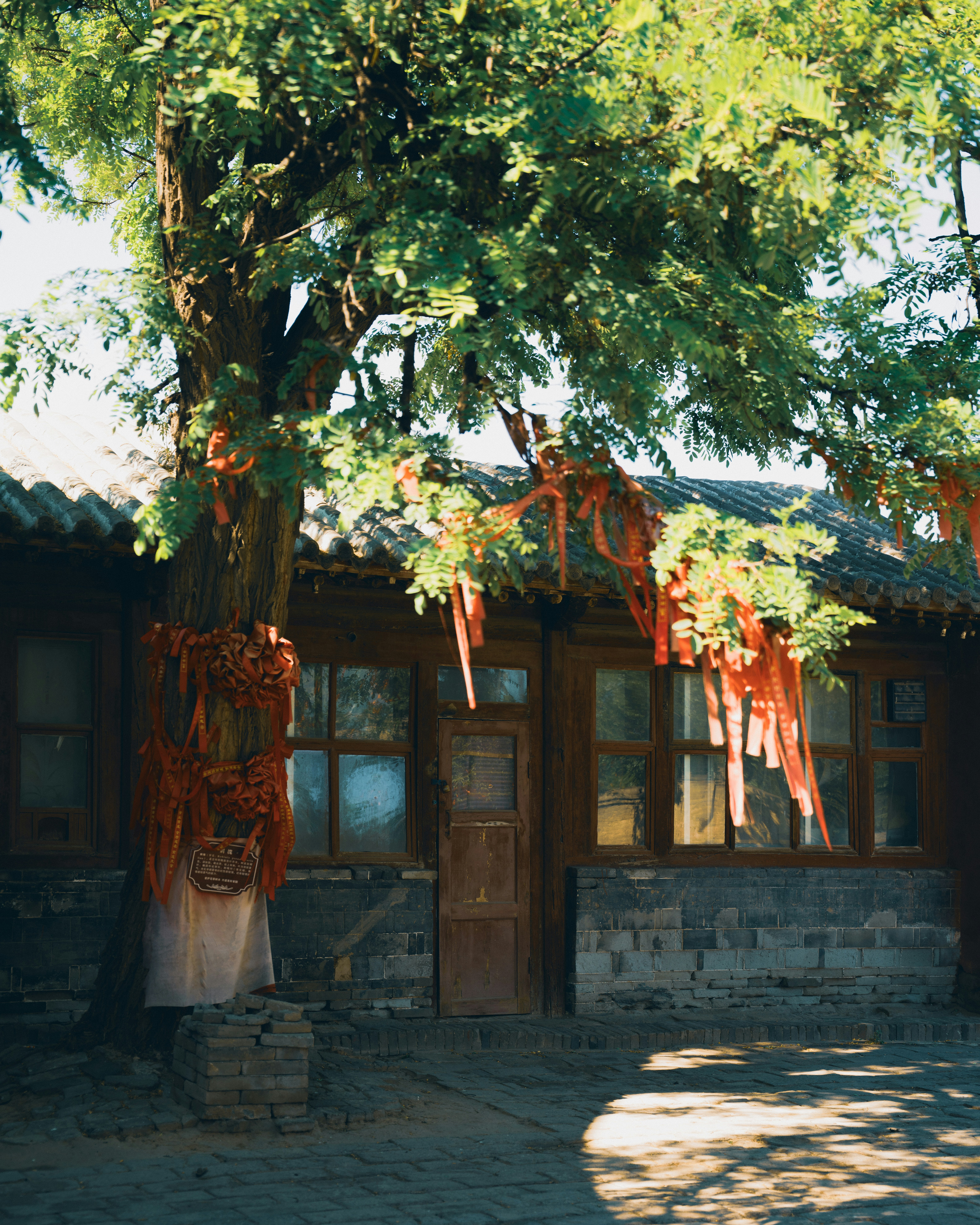Sunlit Shrine Tree Framing a Rustic Home