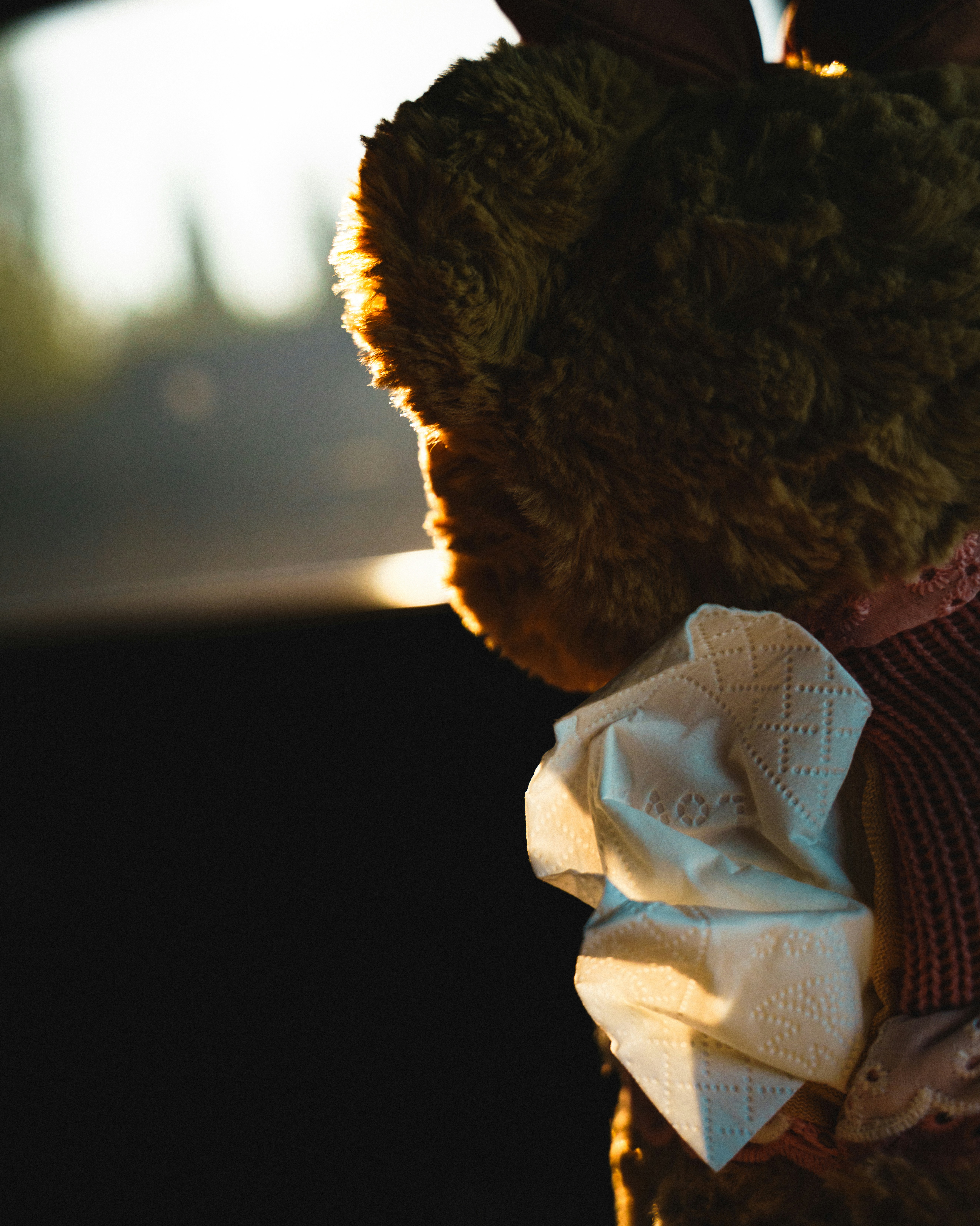 Backlit Teddy Portrait: Whisper of Light on a Plush Face