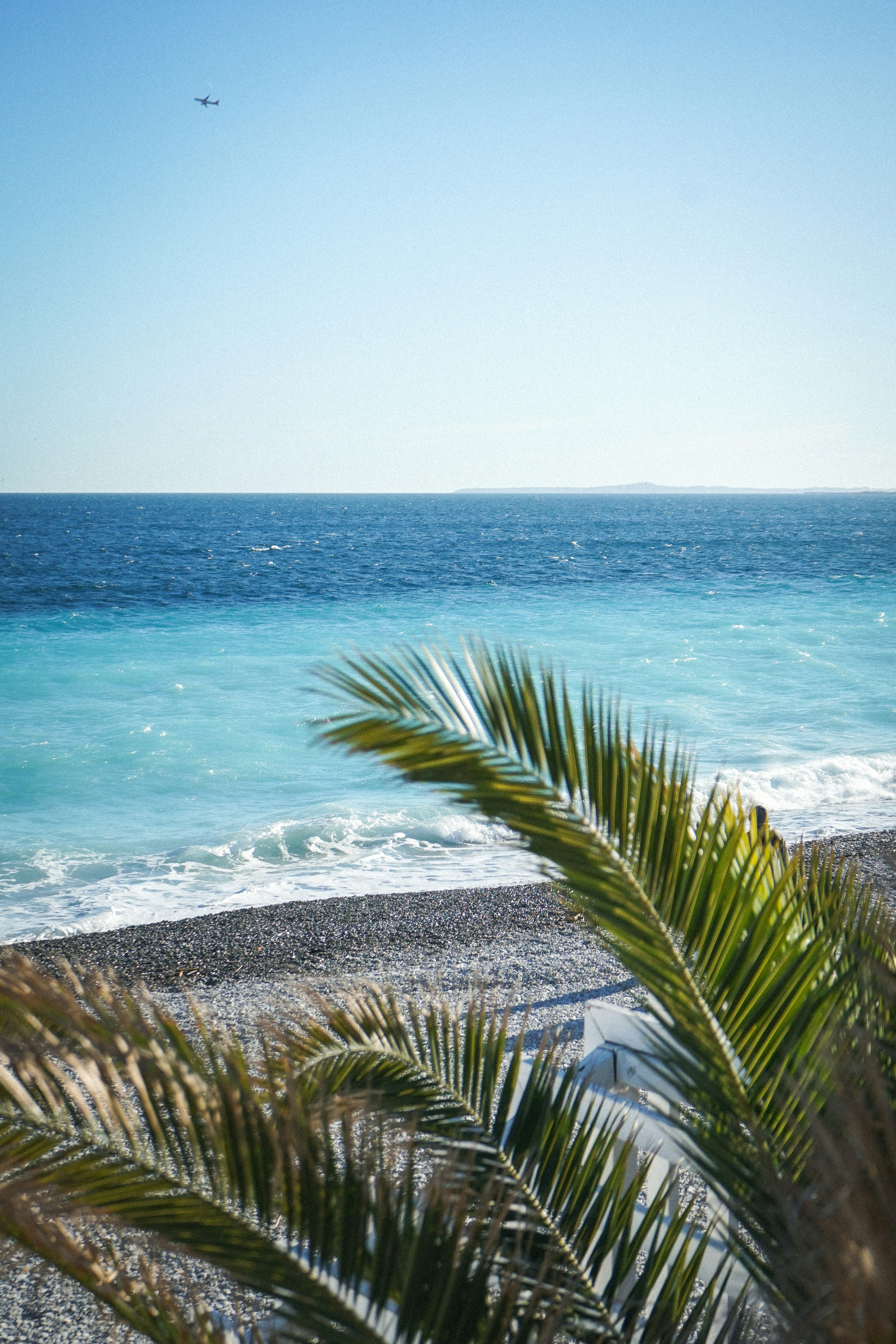Azure Horizon Over Slate Pebbles with Frond Framing