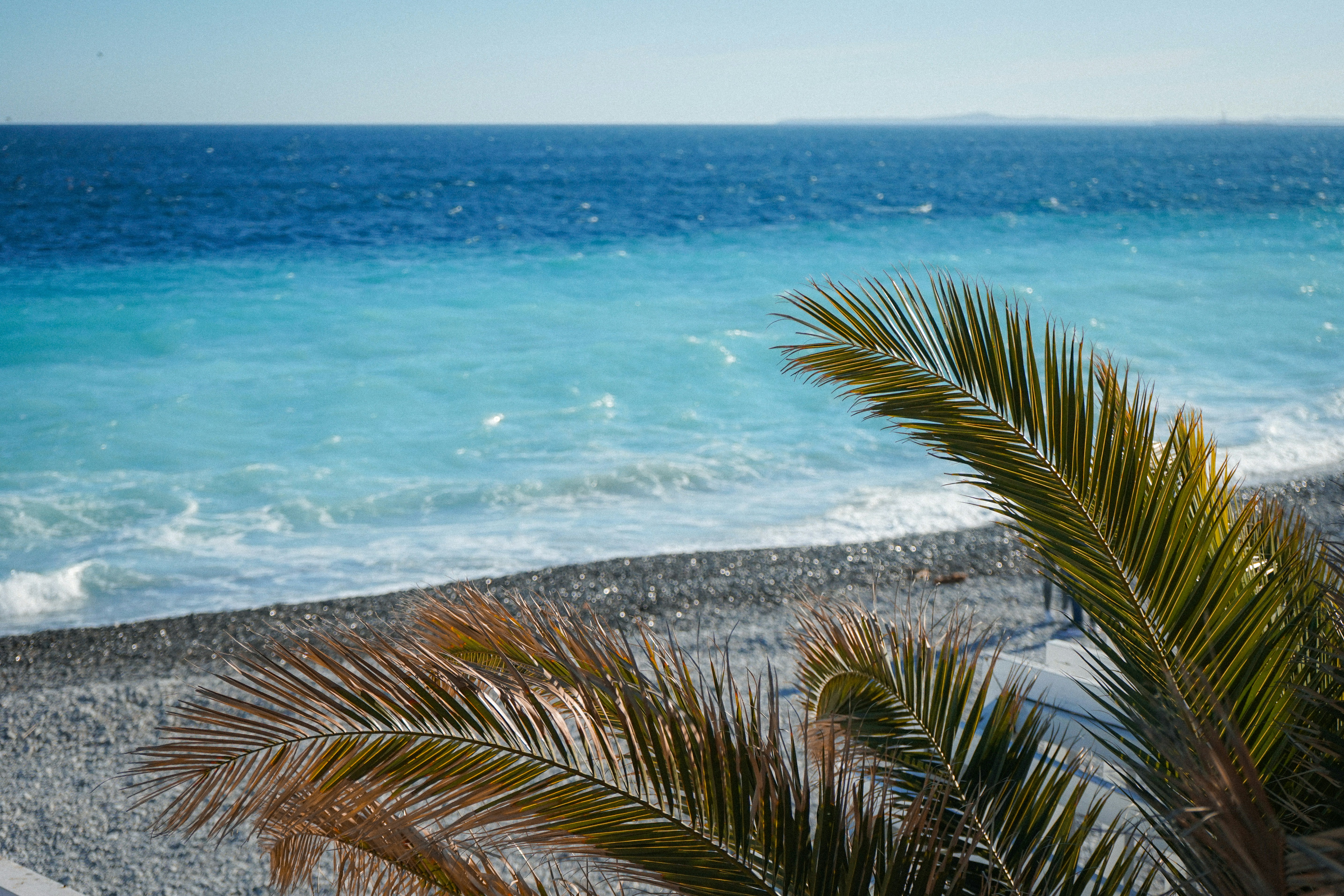 Palm Fronds Framing the Turquoise Sea