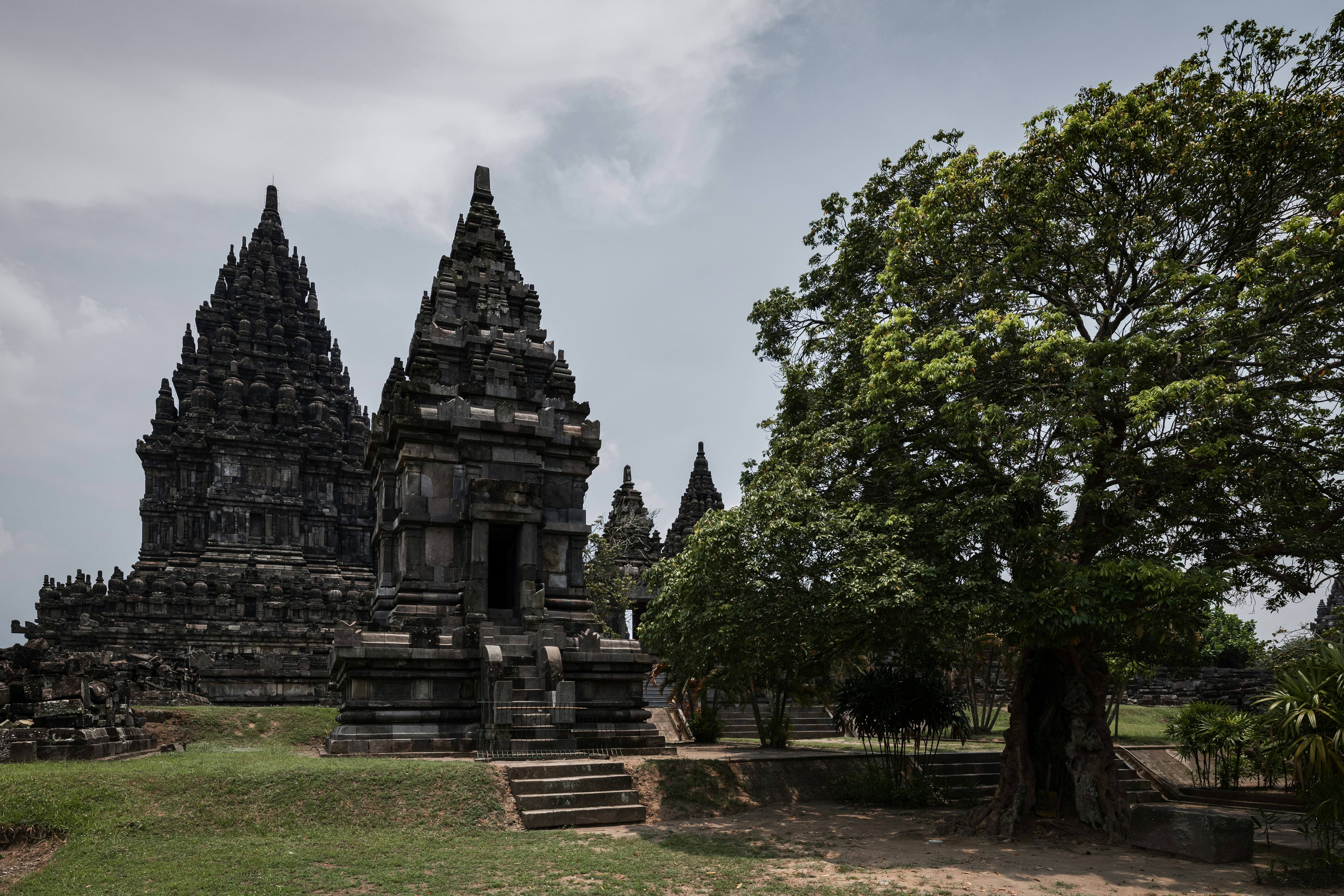 Ancient temples and a large tree under a cloudy sky.
