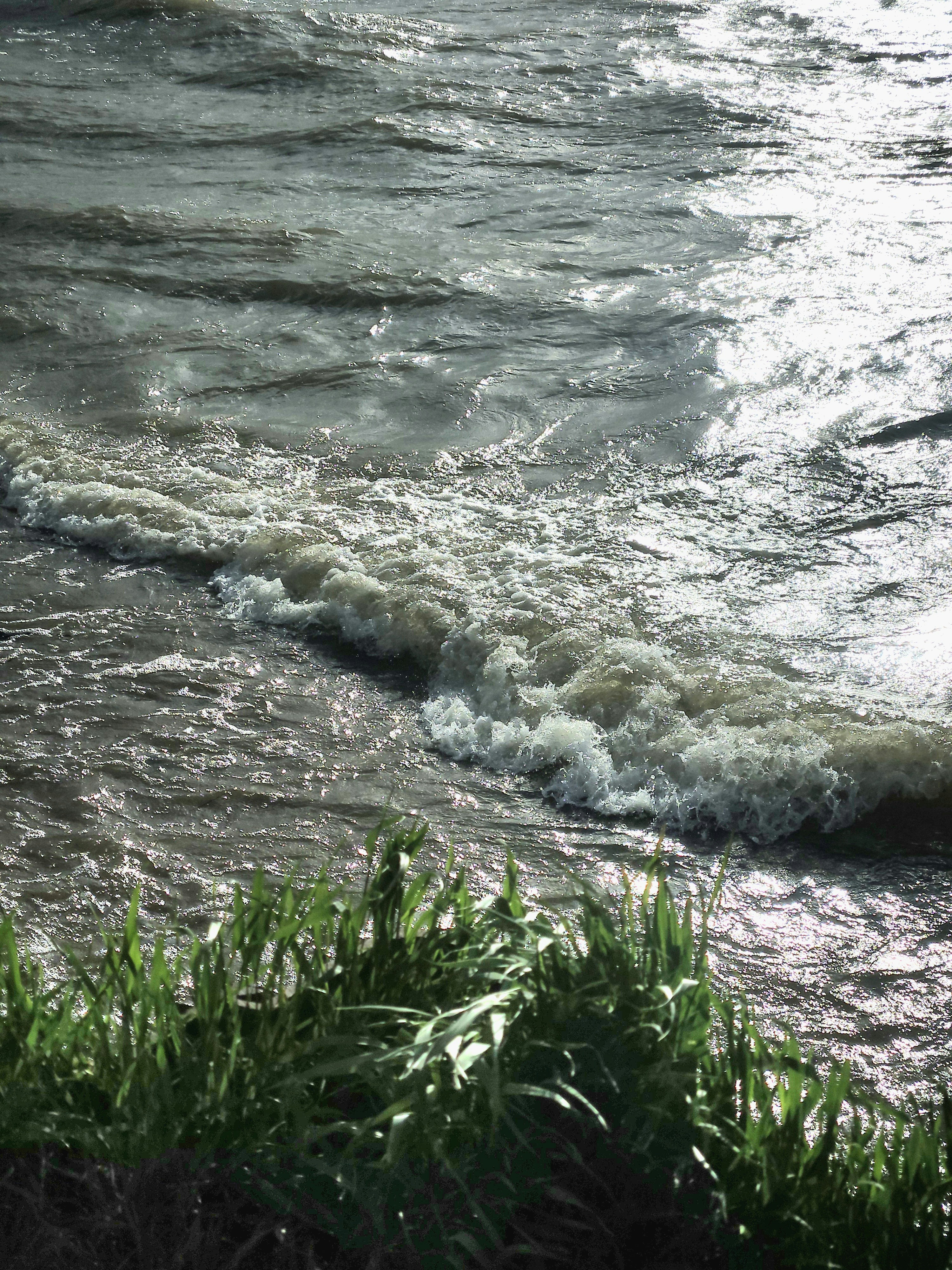 Foaming shoreline in late sun, with green grasses at the edge