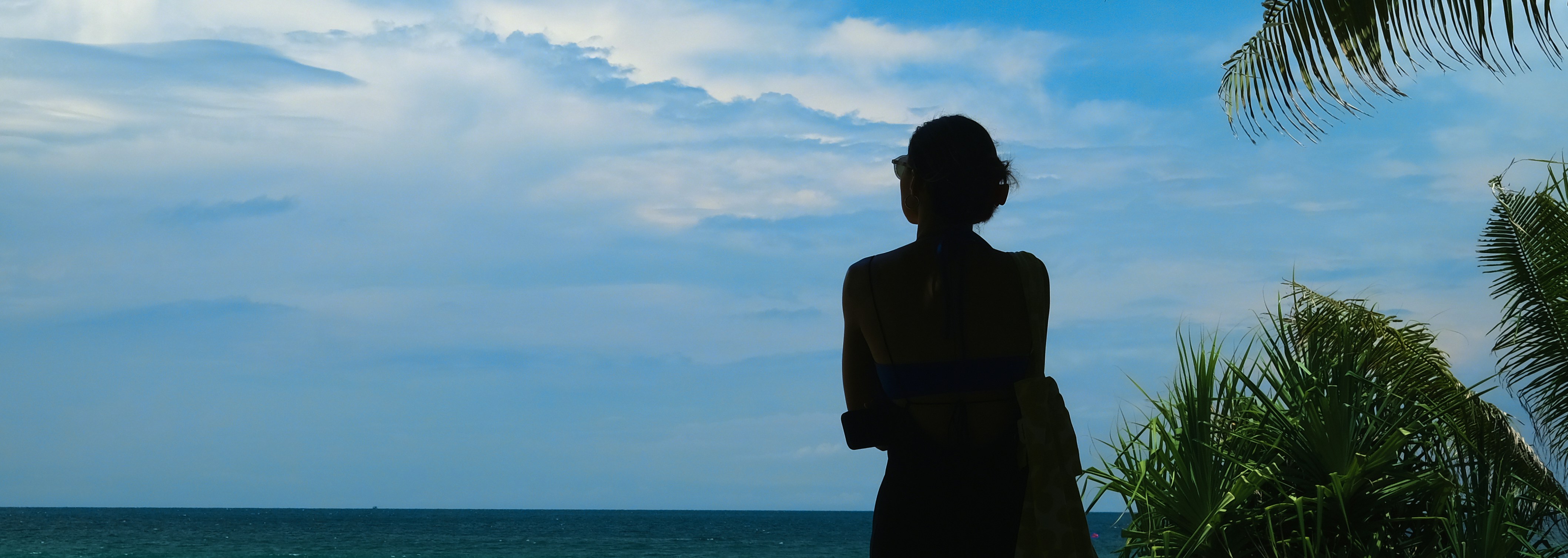 Silhouette by the Sea: A Quiet Moment Under Palms